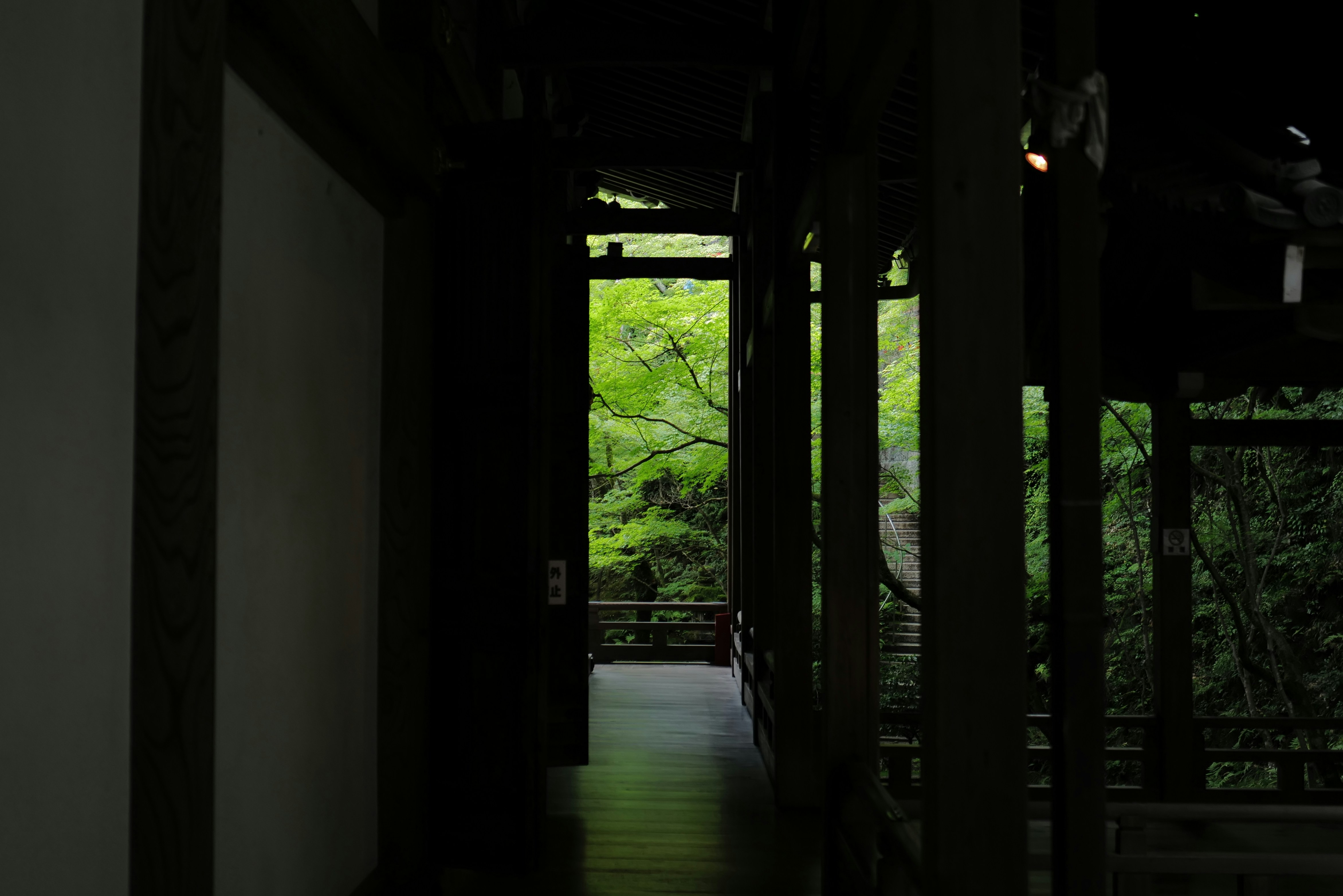 Whispers of Nature Through Wooden Aisles