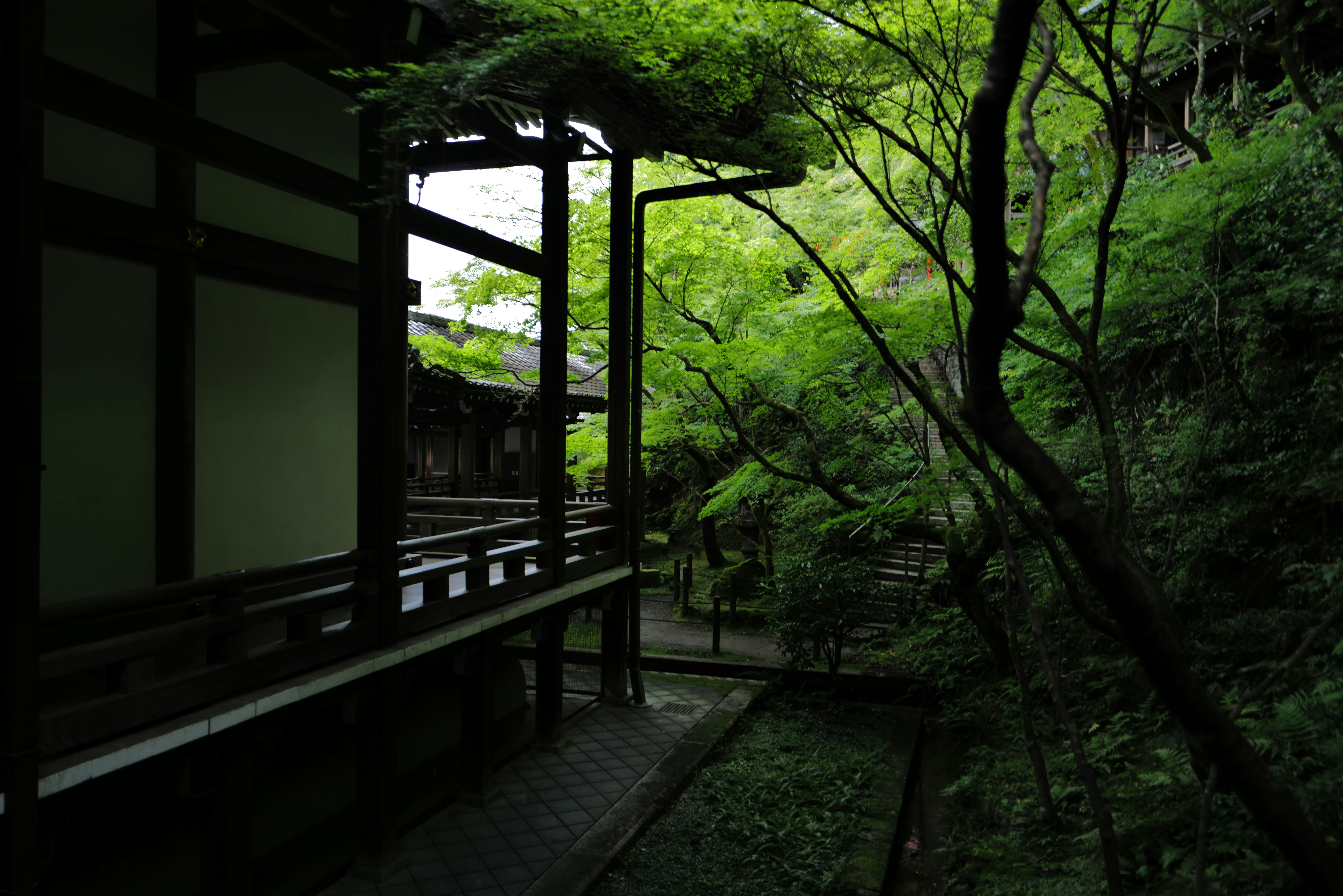 Whispers of Tranquility in a Lush Retreat