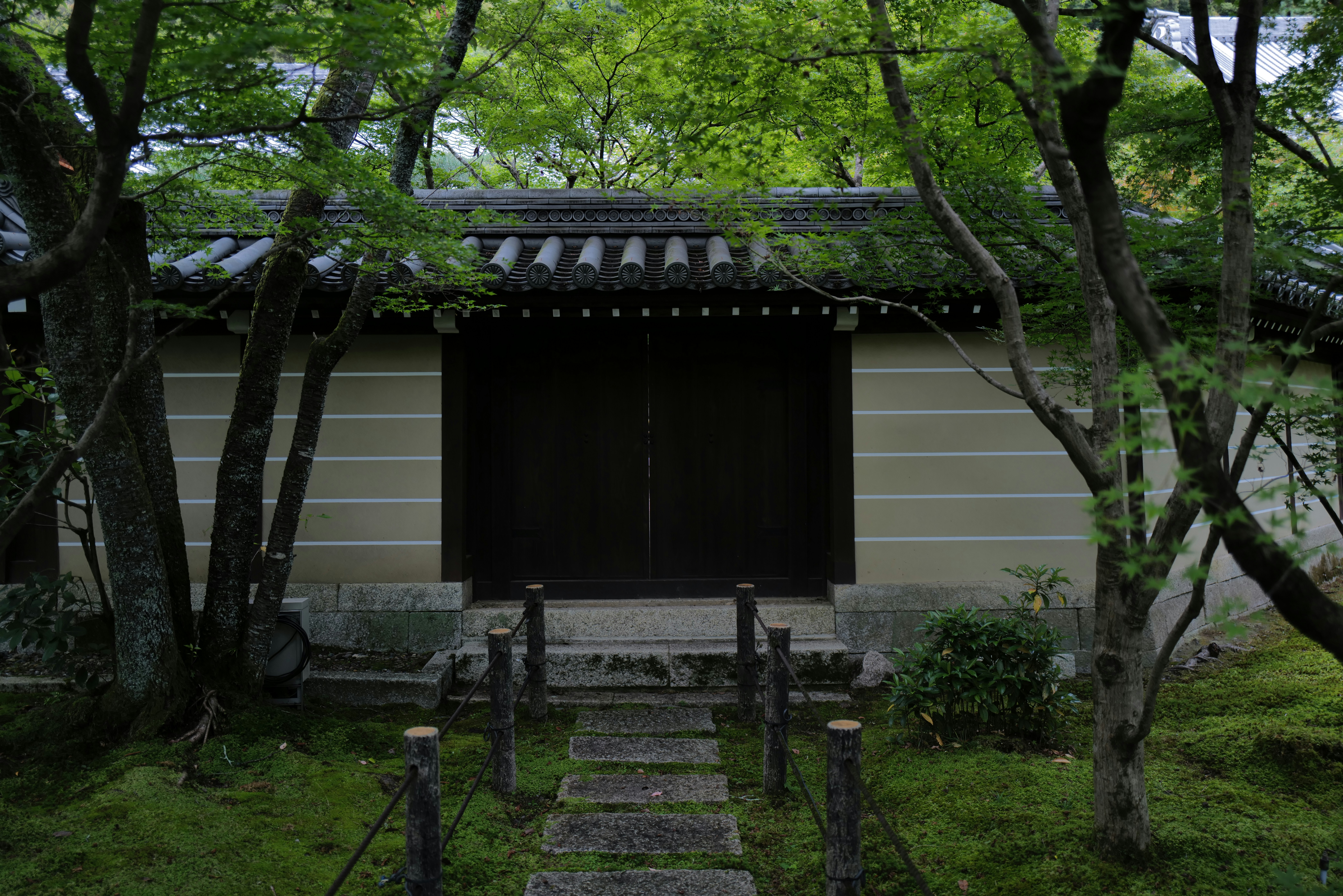 Serenity Behind the Wooden Doors