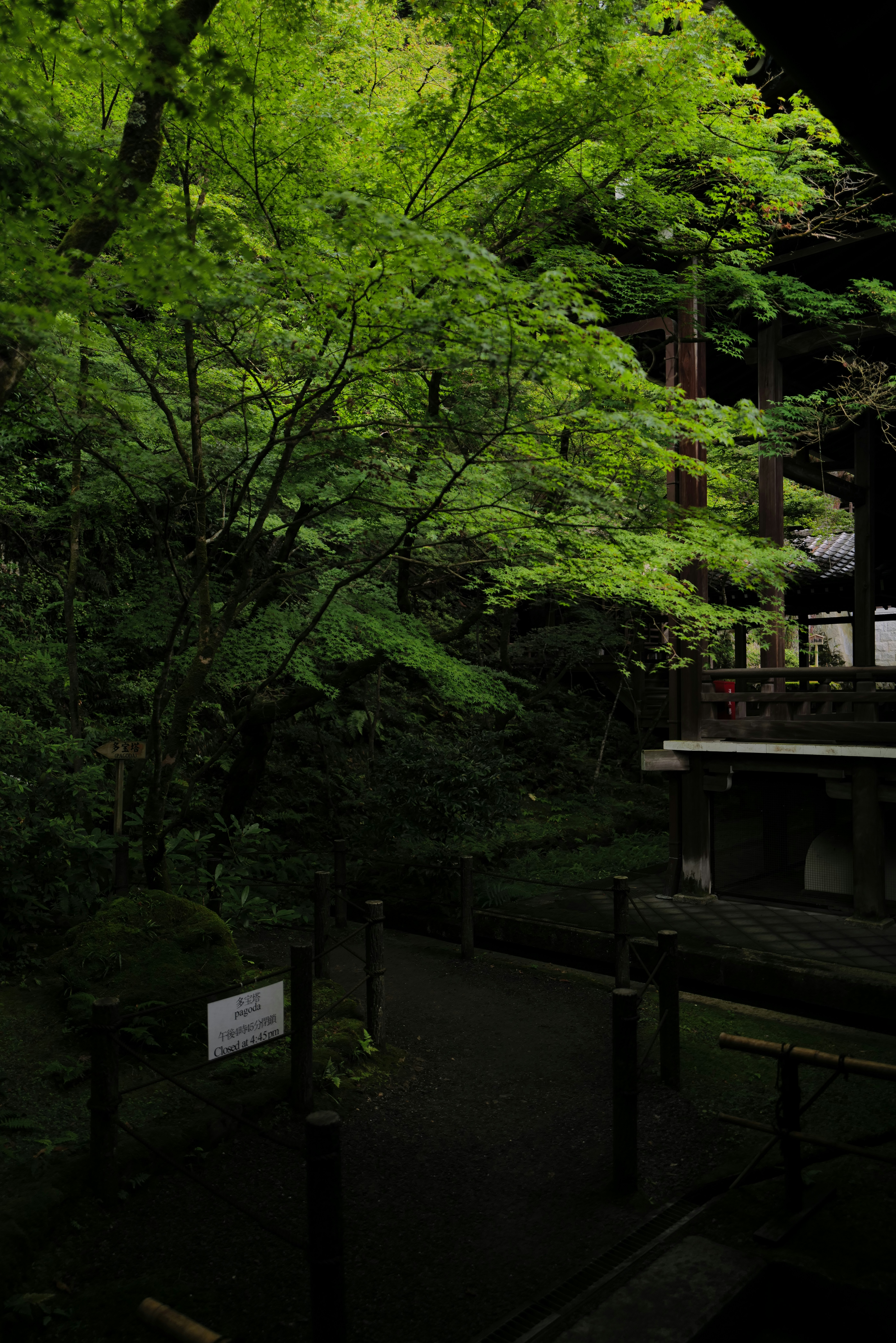 Whispers of Nature: A Serene Retreat