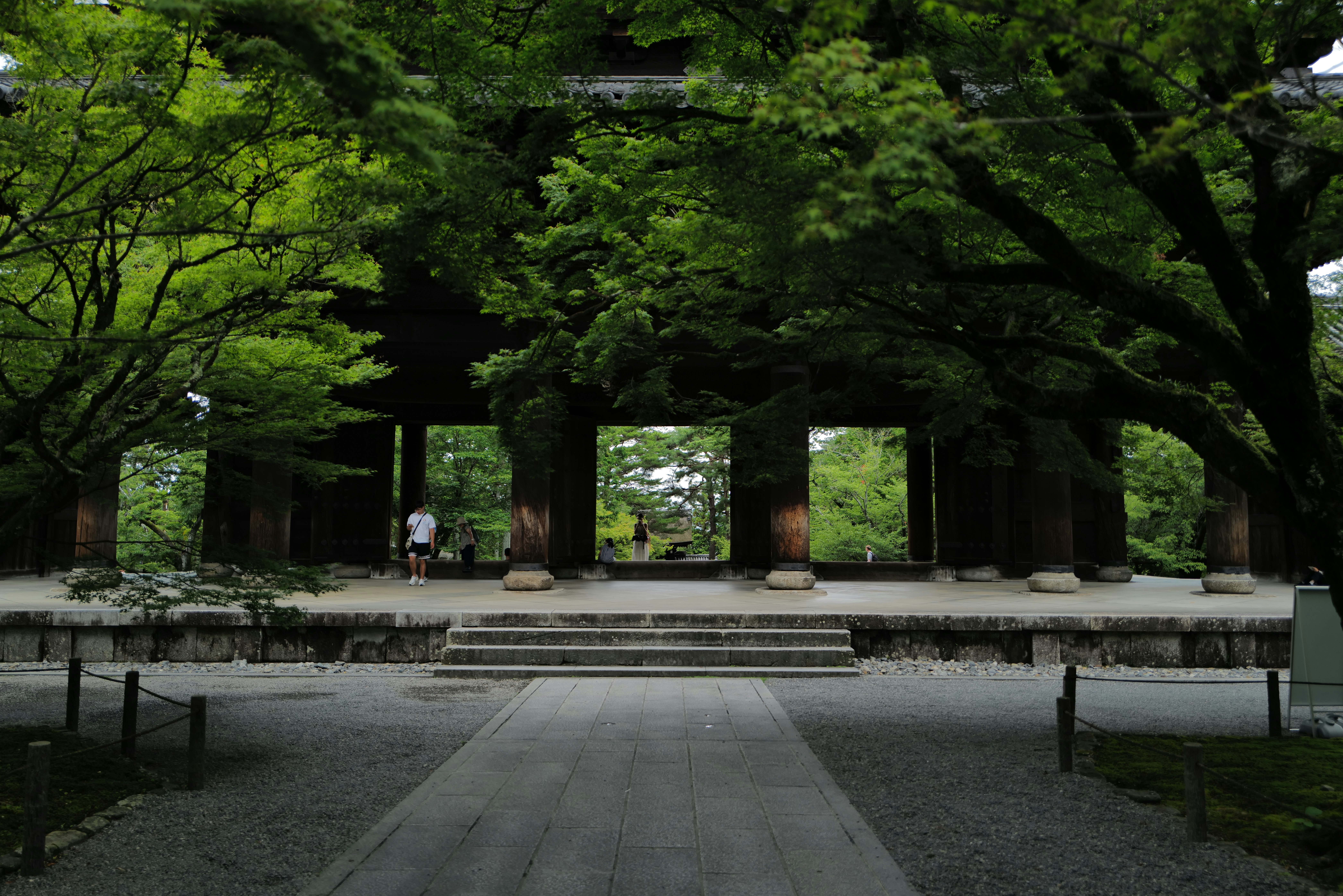 Serenity in the Shadows of Ancient Architecture