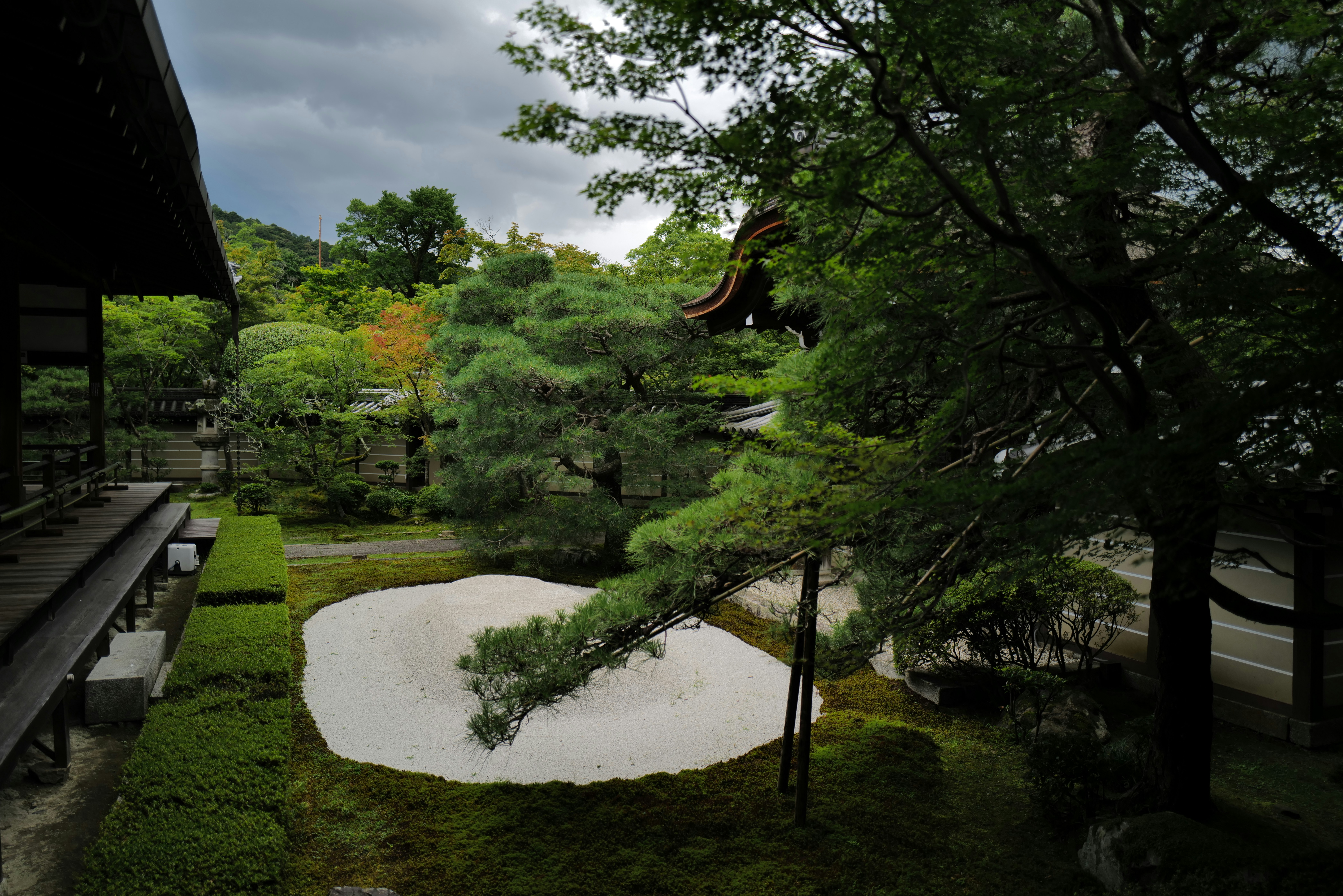 Zen Garden: White Gravel Circle Framed by Pines and Pavilion