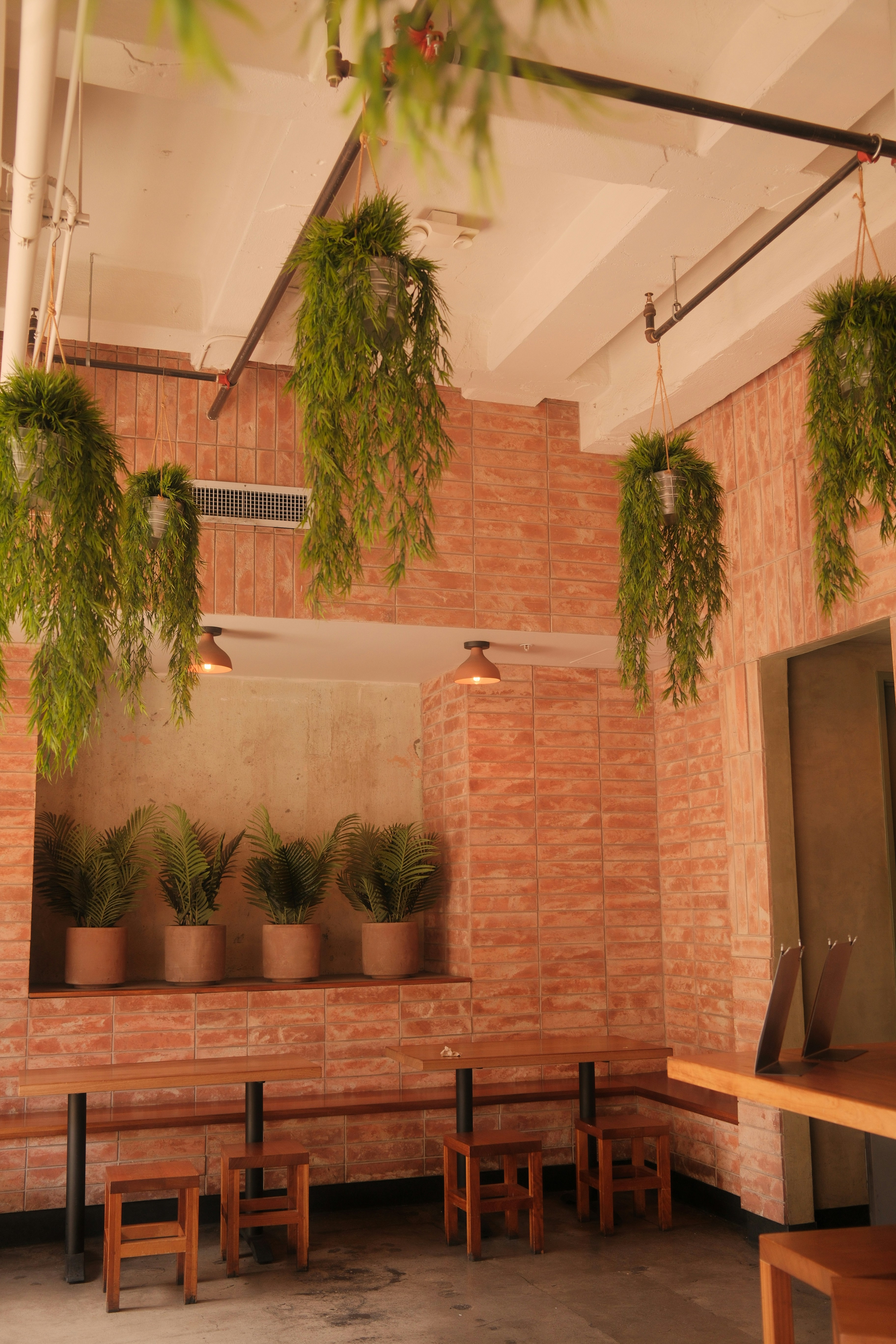 Verdant Haven: A Cozy Retreat