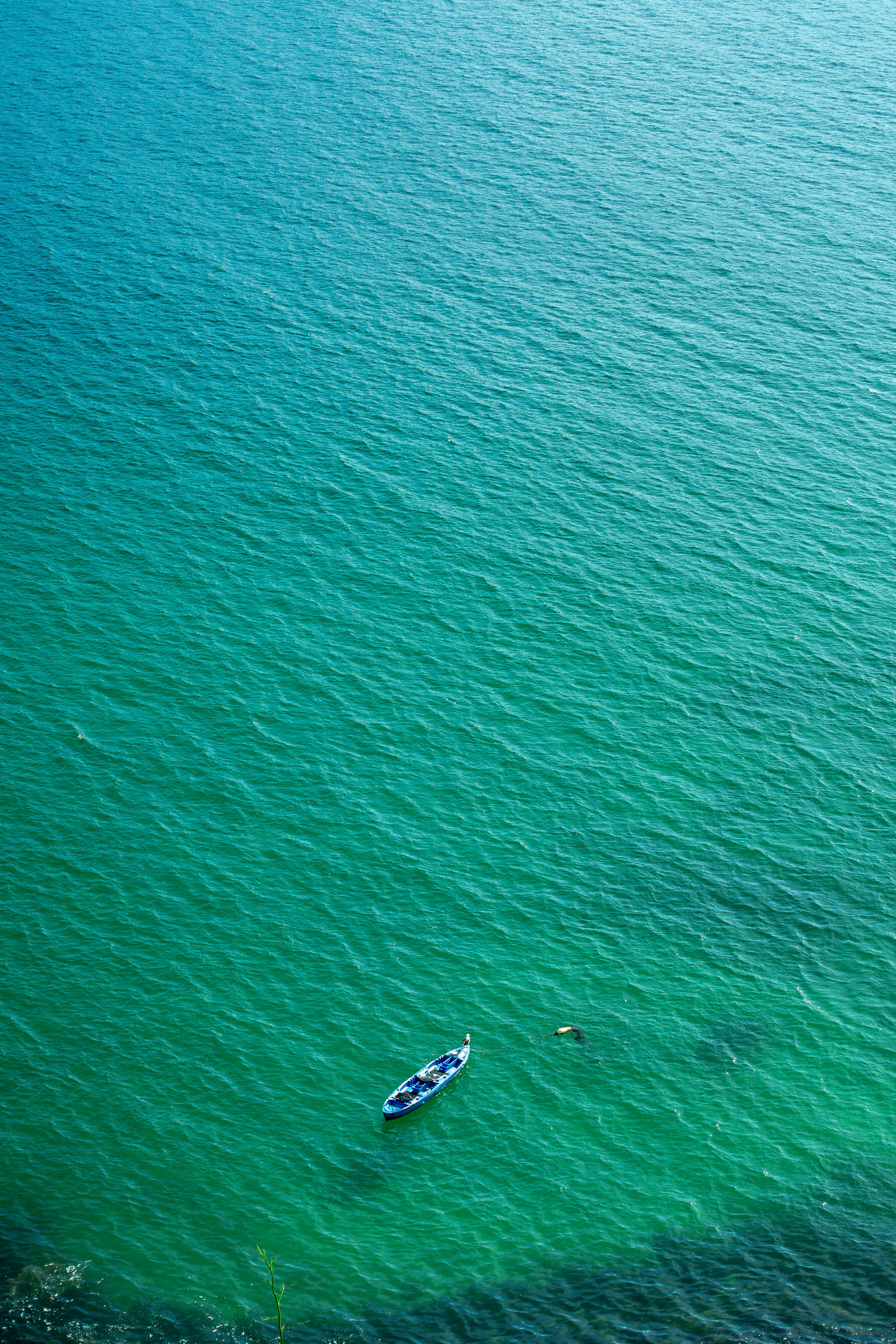 A boat floats on a vast, turquoise ocean.