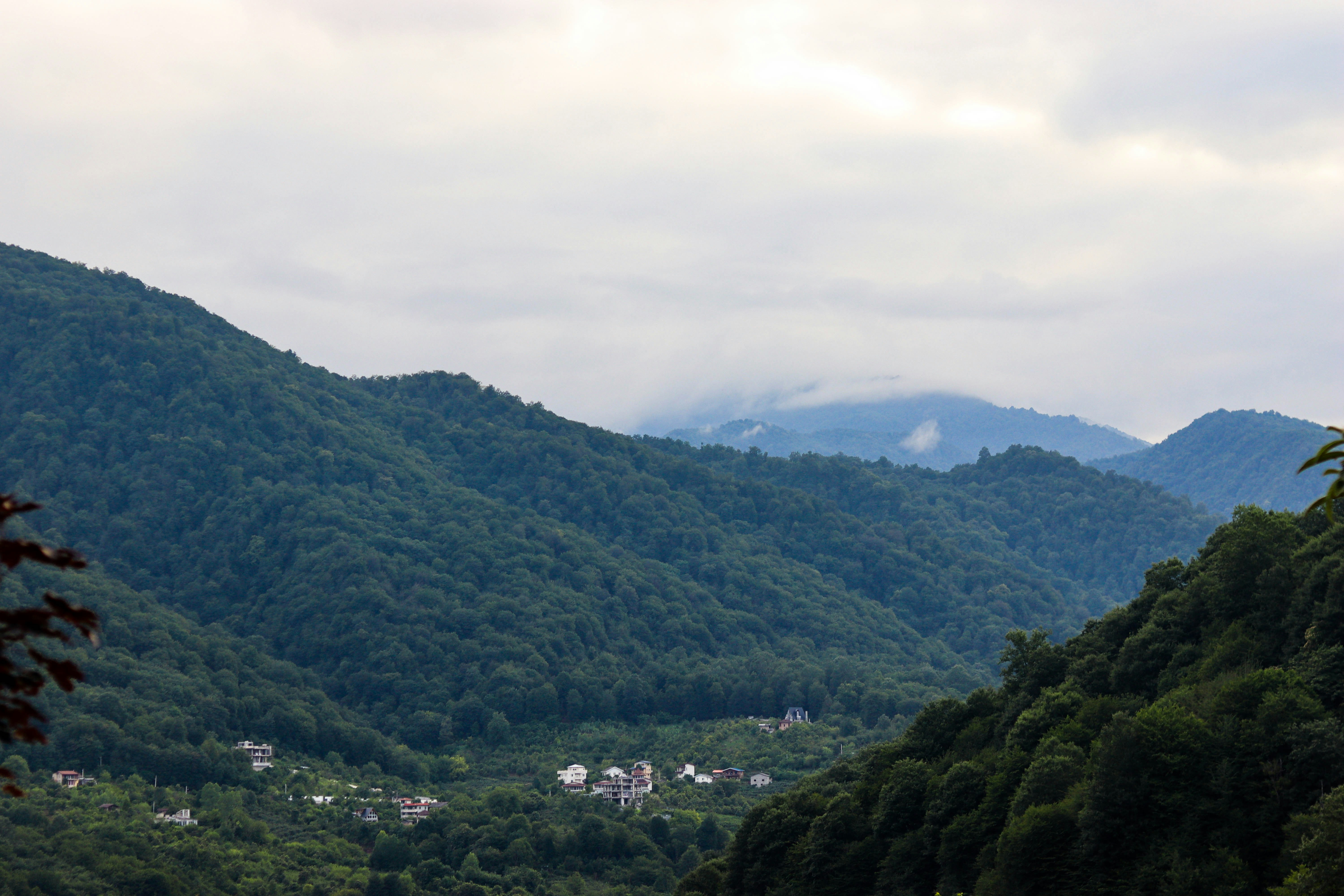 Mountains covered with lush trees and a distant town.