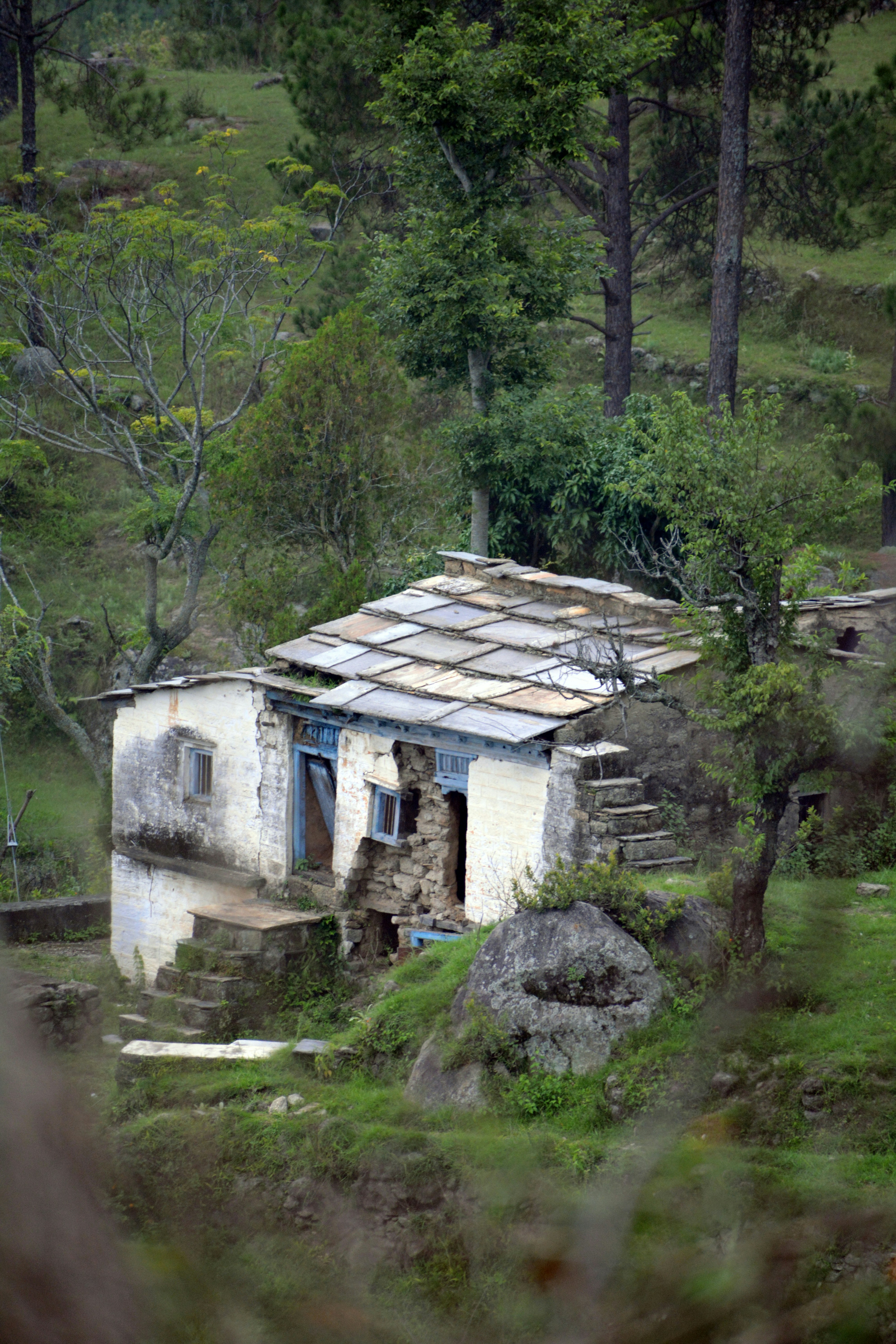 A weathered stone cottage nestled among lush greenery, showcasing a blend of nature and human craftsmanship.