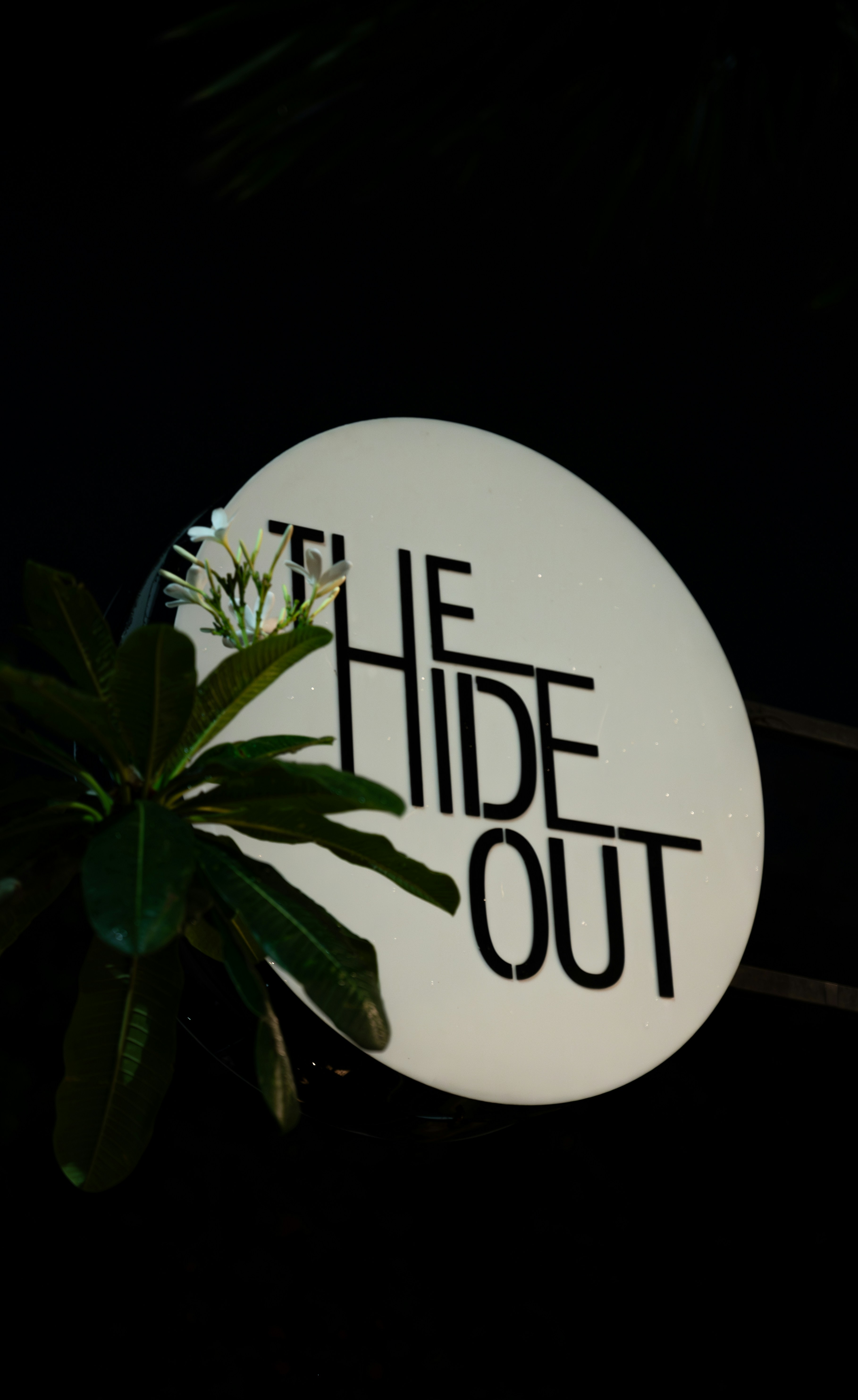 Illuminated Oasis: The Hide Out Signage