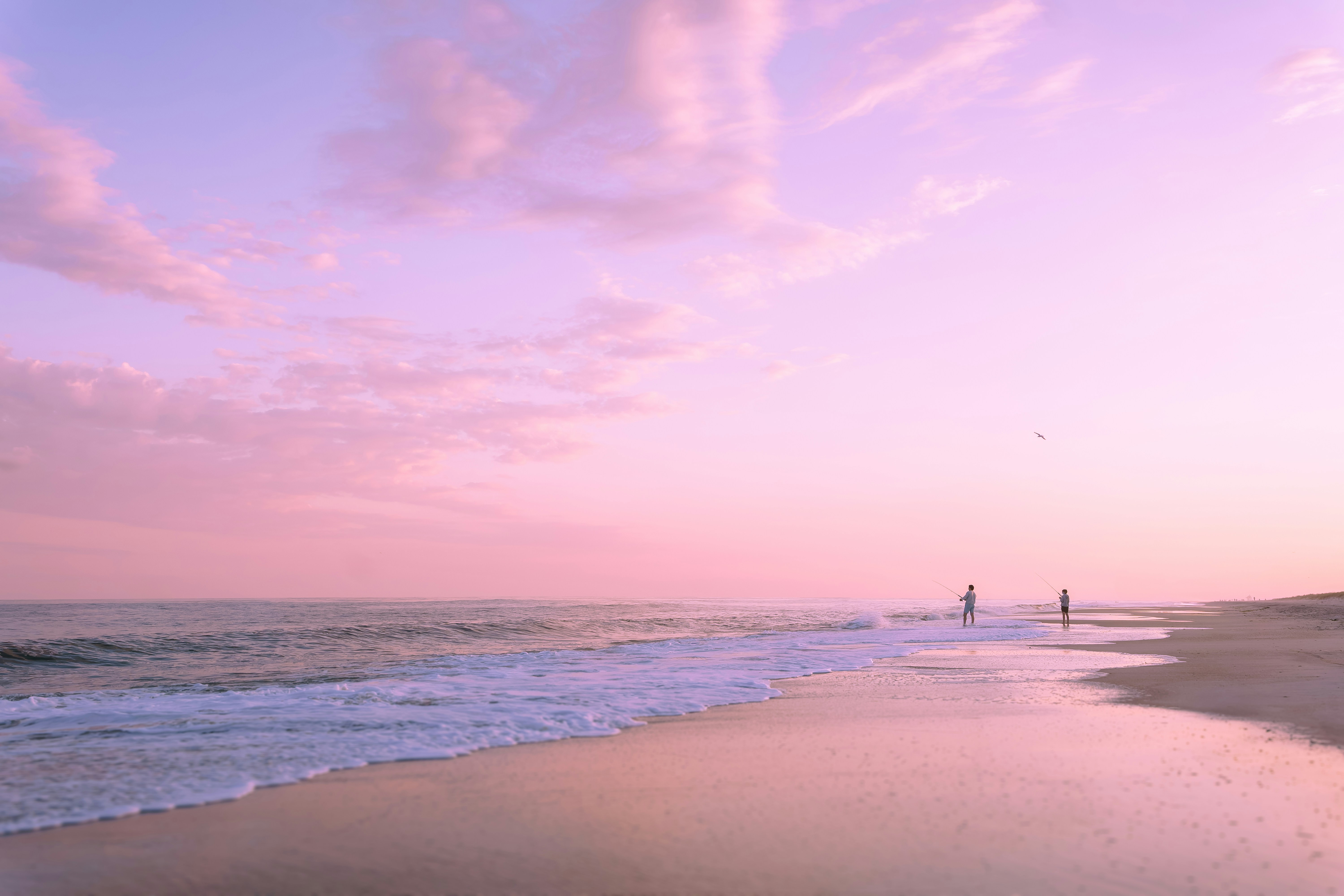 Pink sunset over a peaceful beach. photo – Free Beach Image on Unsplash