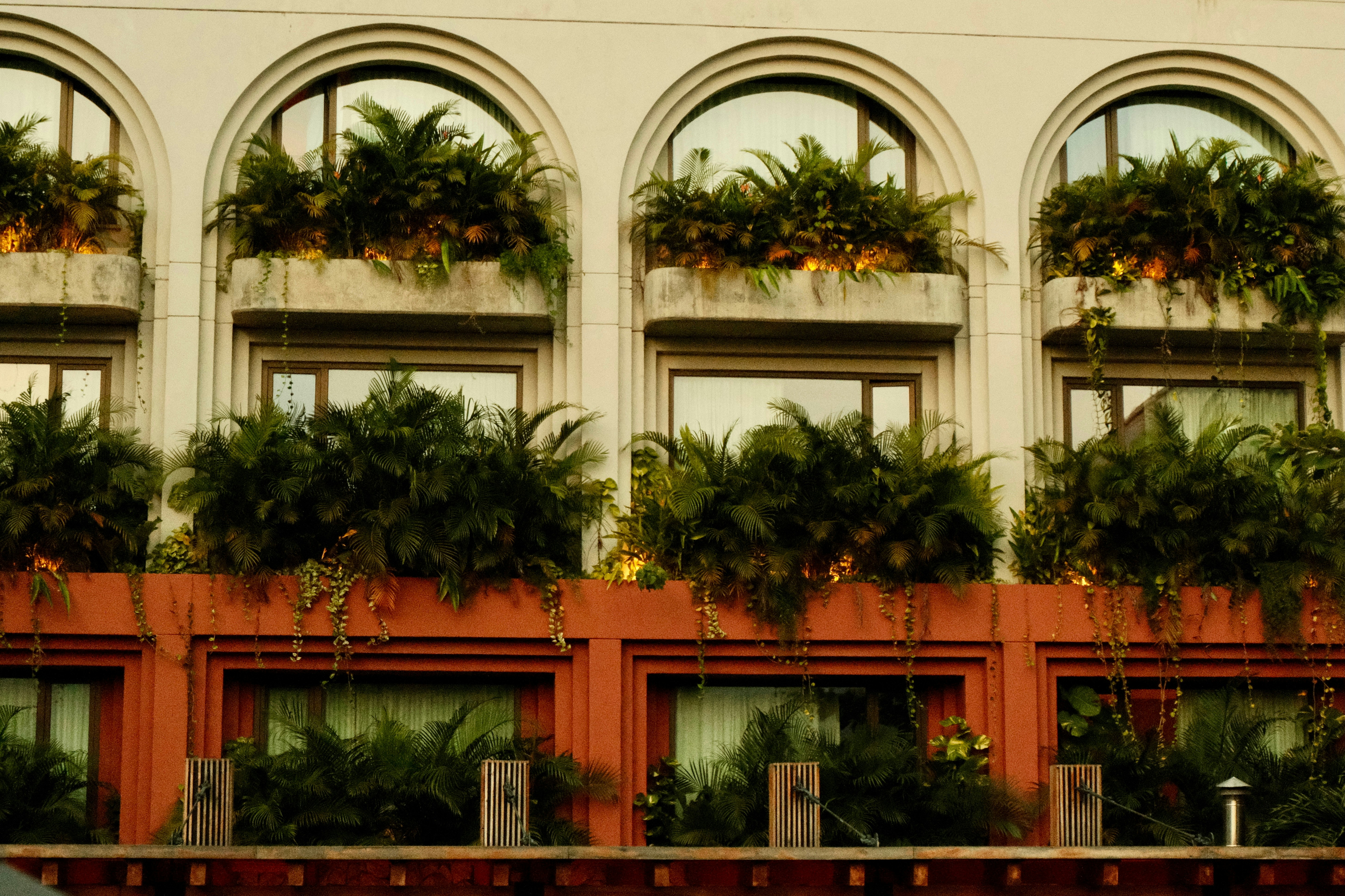 Archway Verdure: Ivy-Laced Windows on a Sunlit Facade
