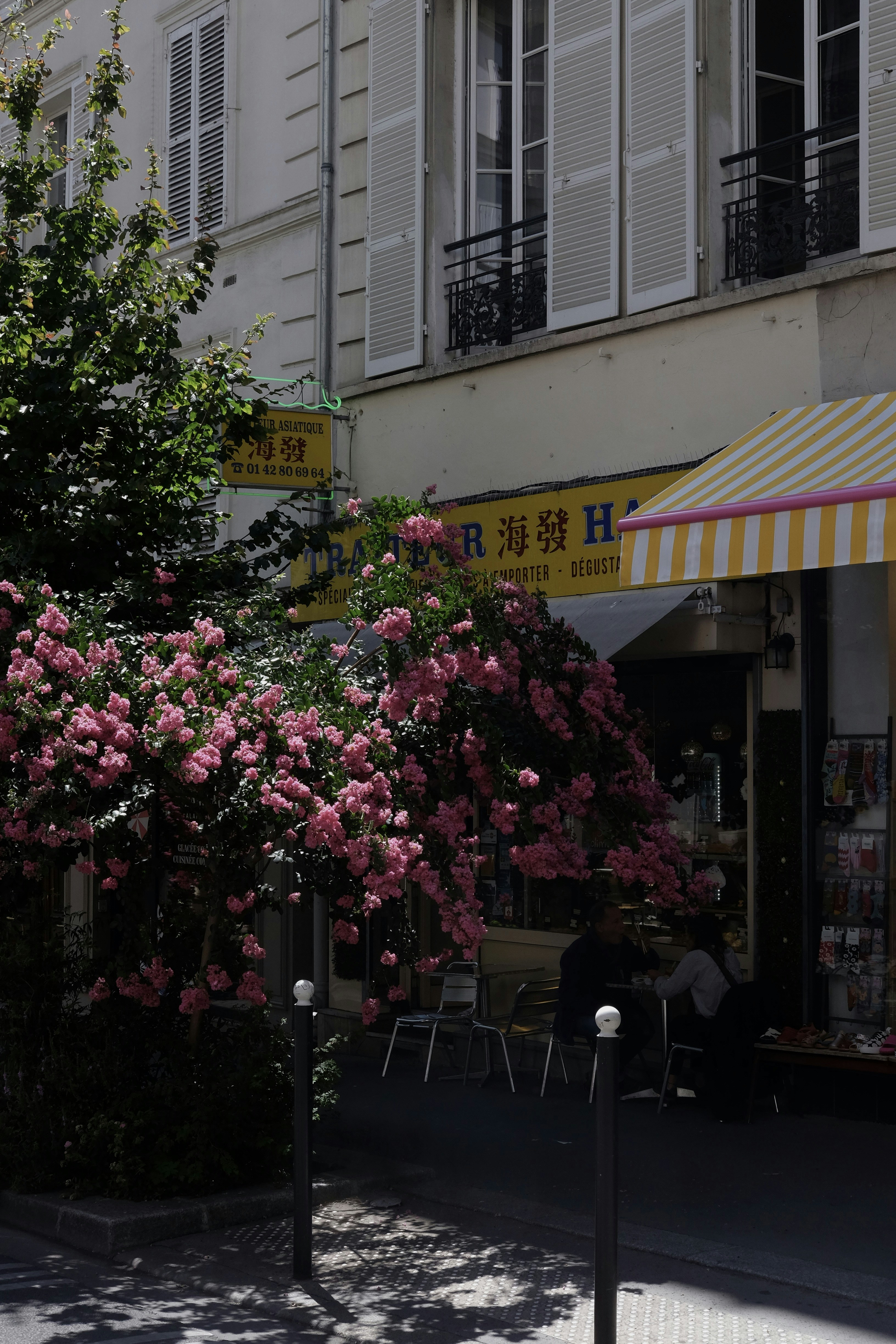 Paris, July 2025 Fujifilm X-T1, 35mm | Beautiful pink flowers bloom near a shop front.