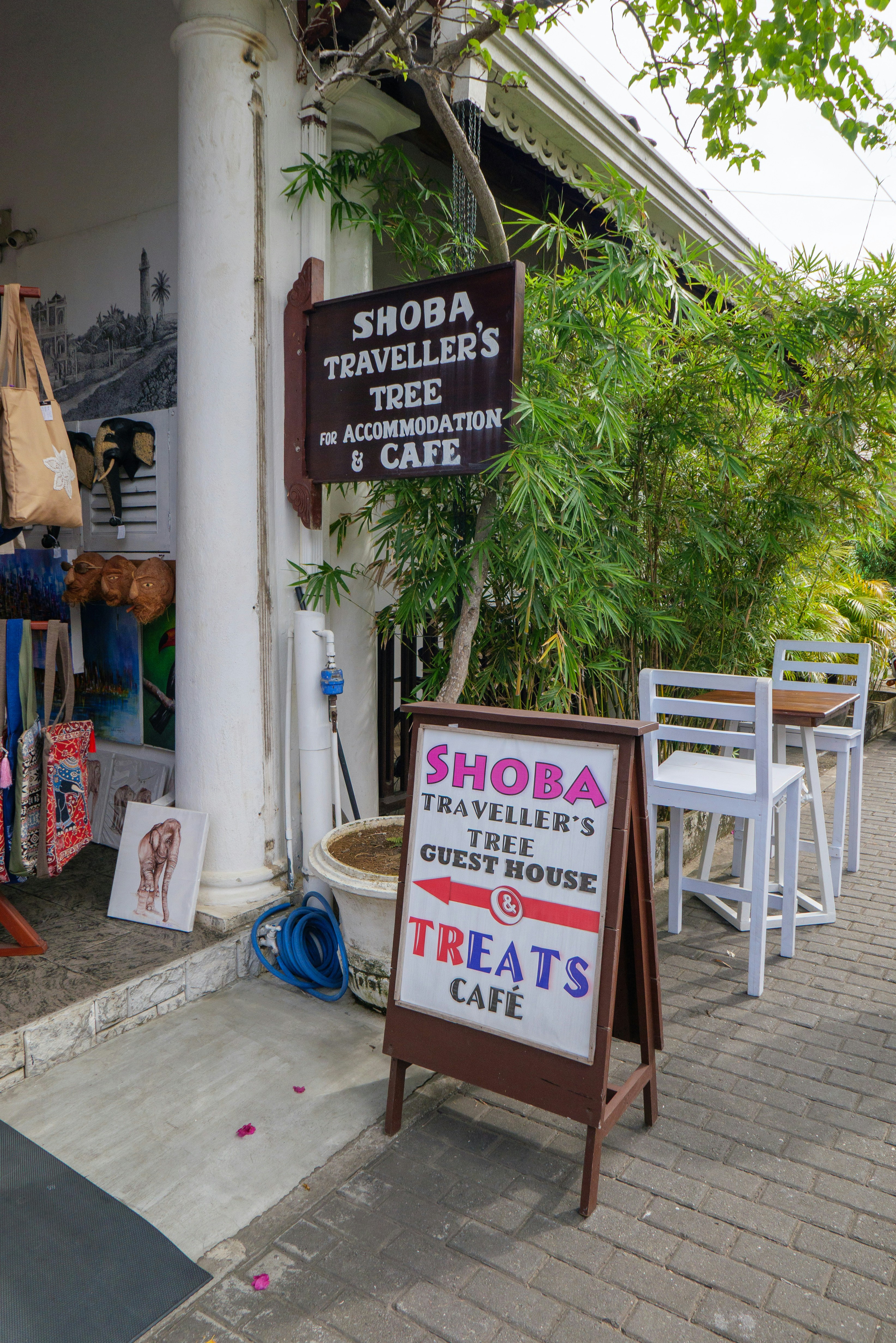A cafe named "shoba traveller's tree."