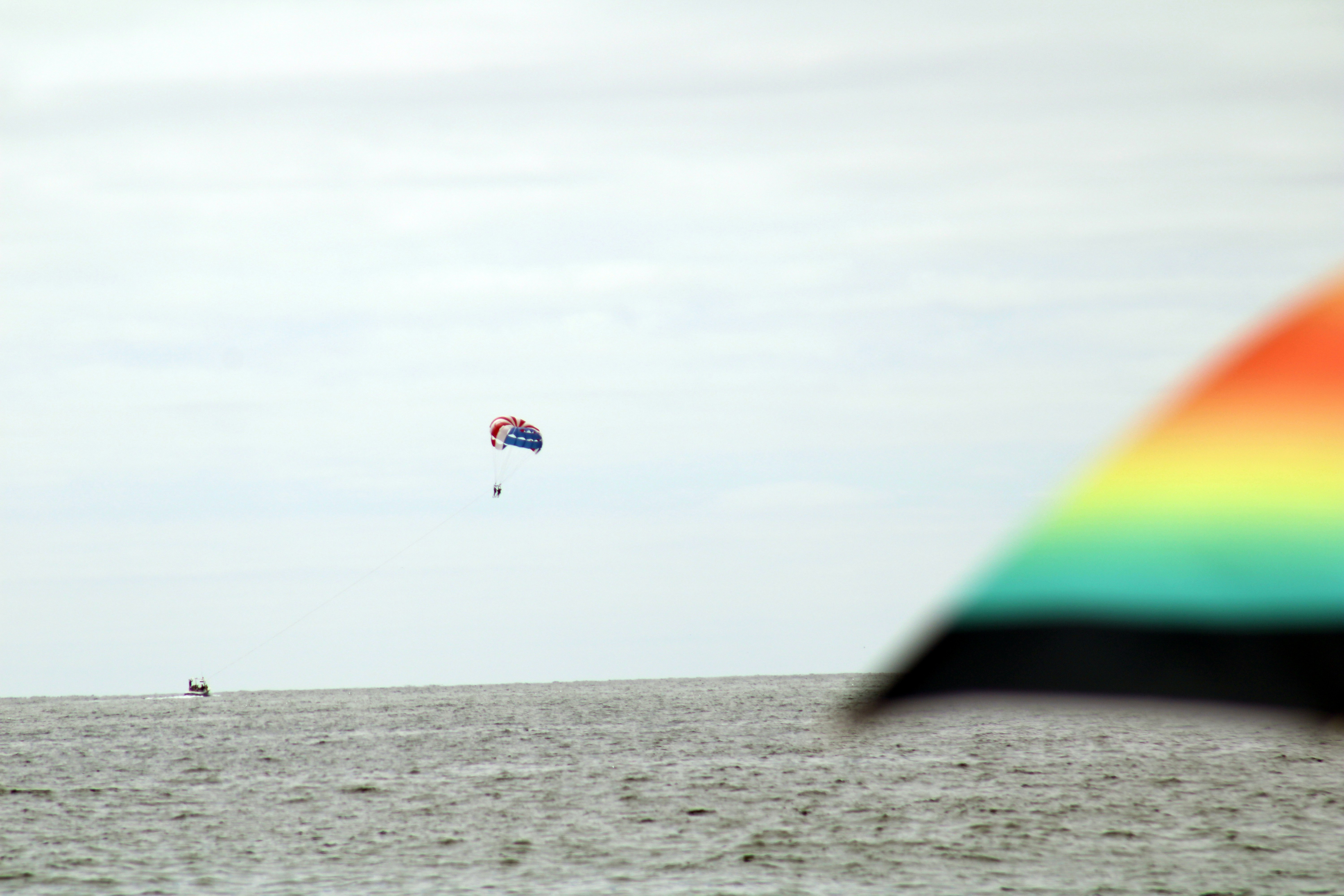 Soaring Above the Waves: A Colorful Adventure