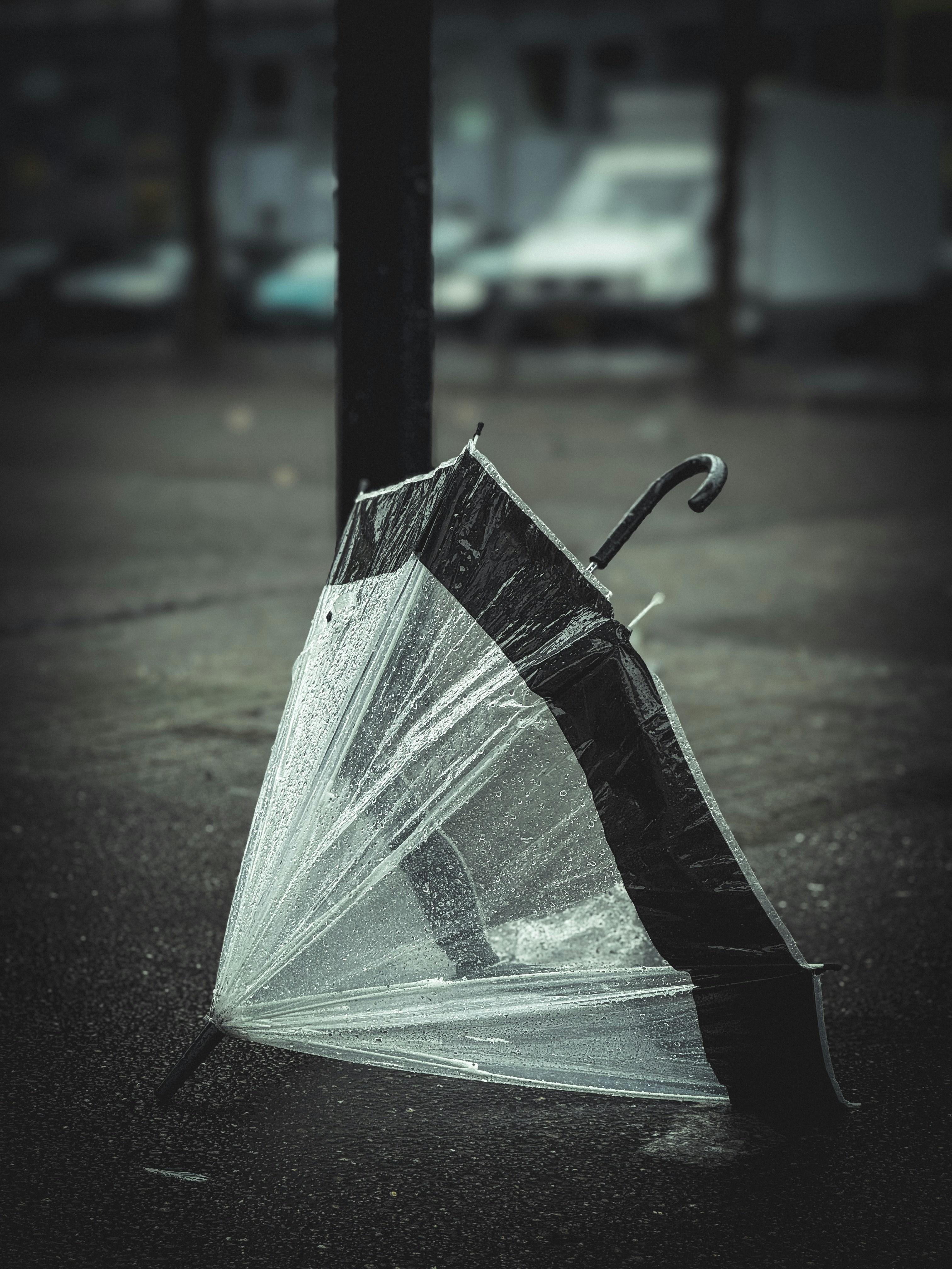 Whispers of a Rainy Day