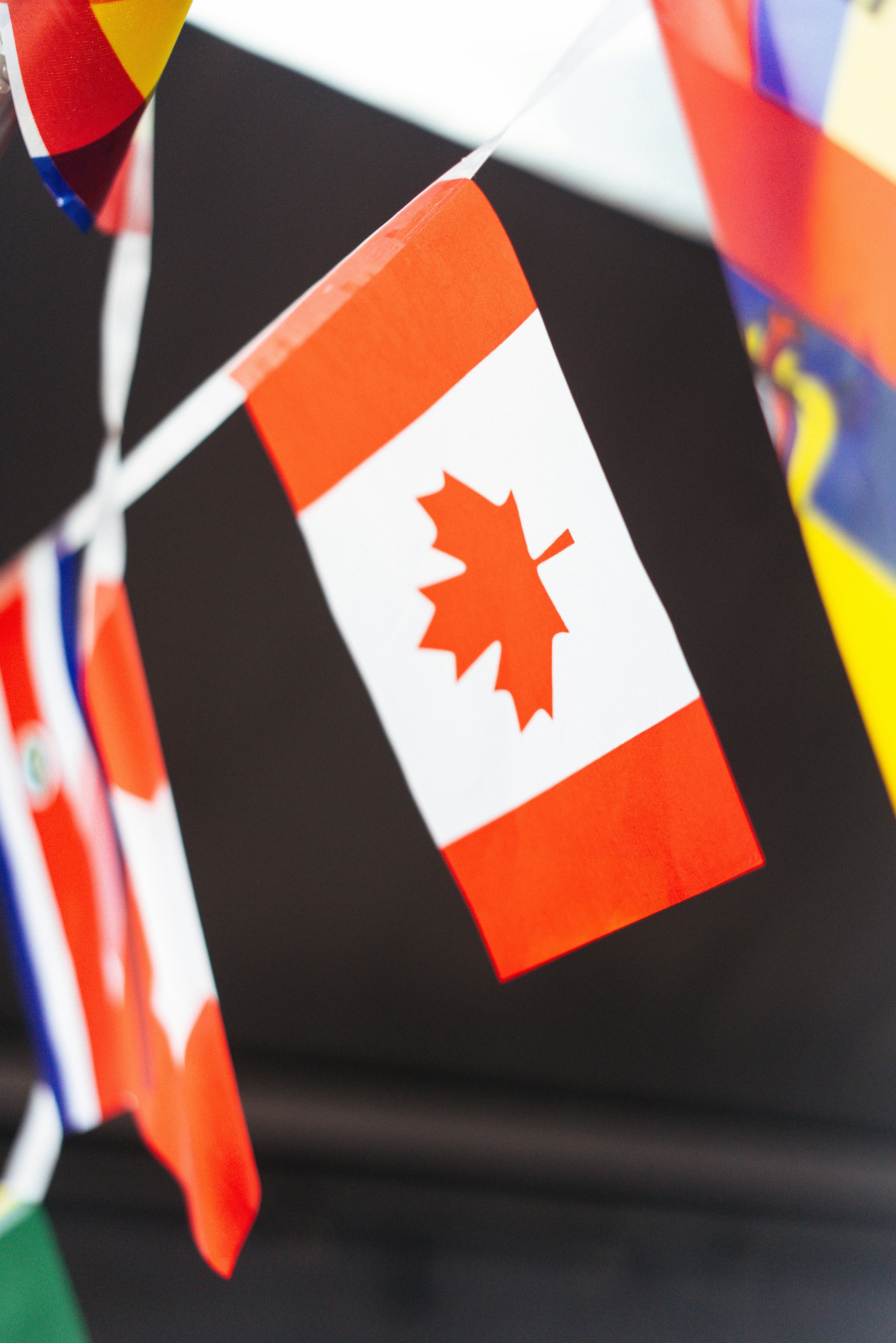 Unity in Diversity: Celebrating National Symbols