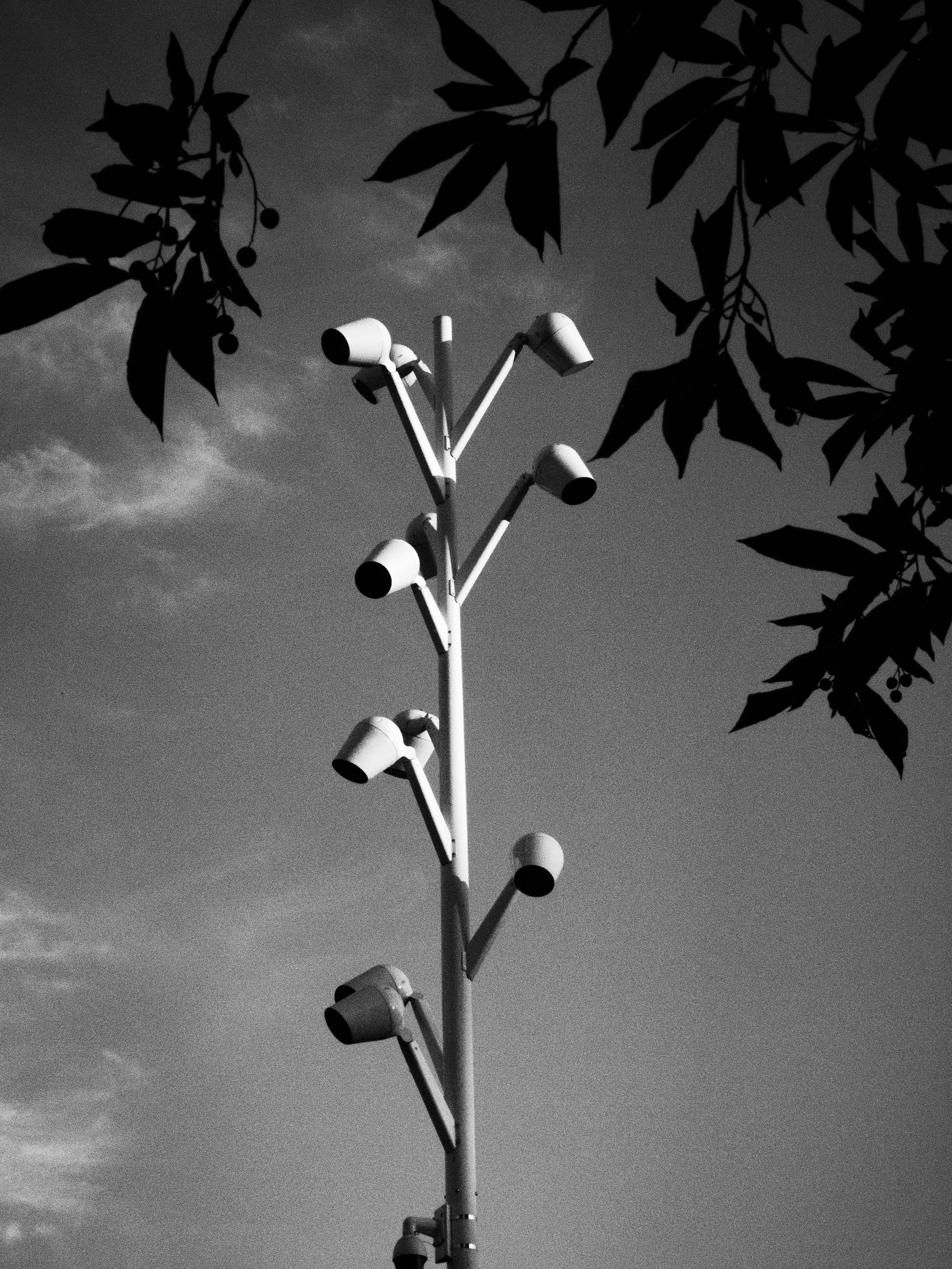 A tall, white surveillance camera tower stands against a cloudy sky, framed by dark foliage. The monochrome tones emphasize the stark contrast between technology and nature.