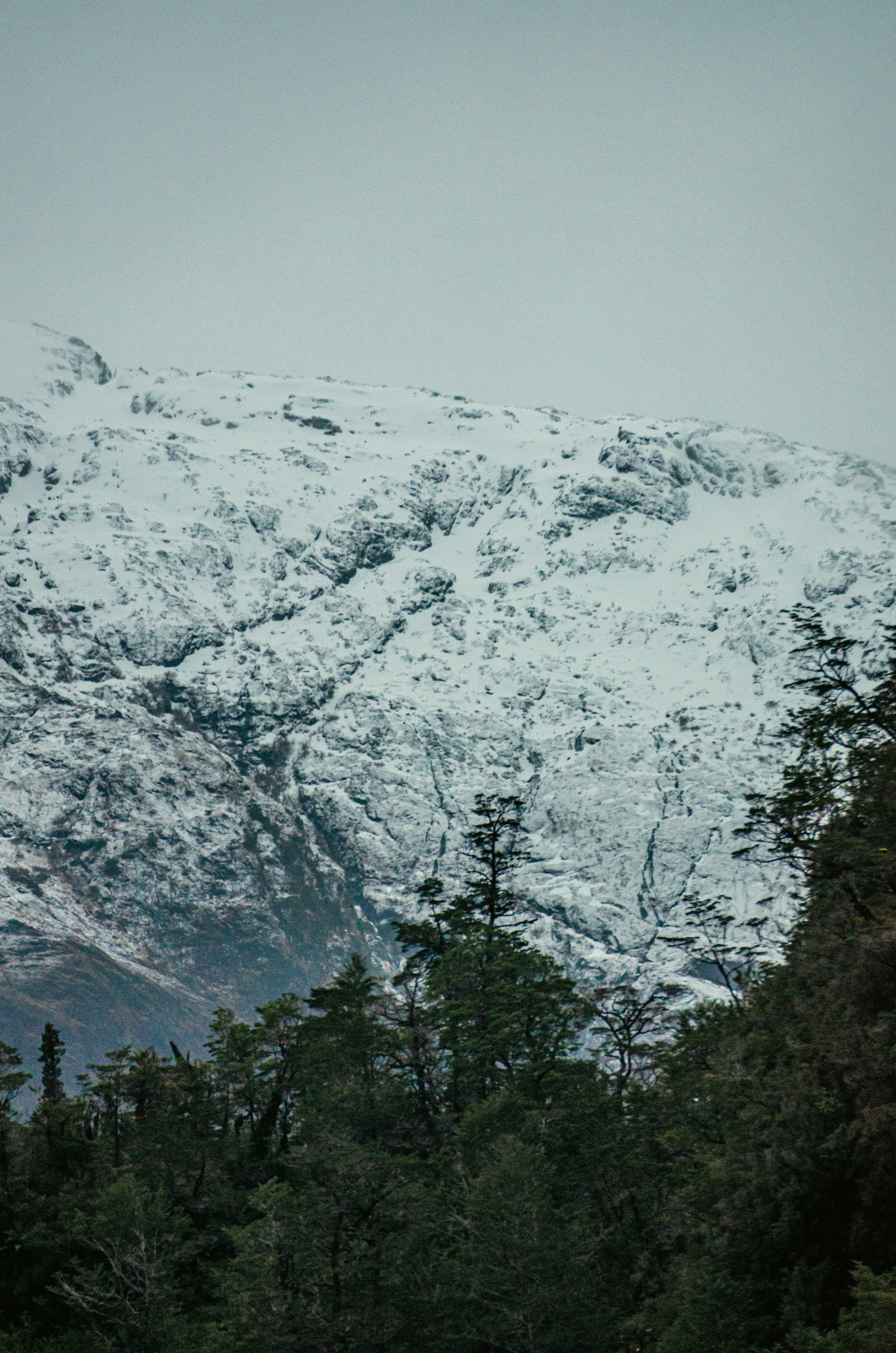 Whispers of the Frozen Peaks