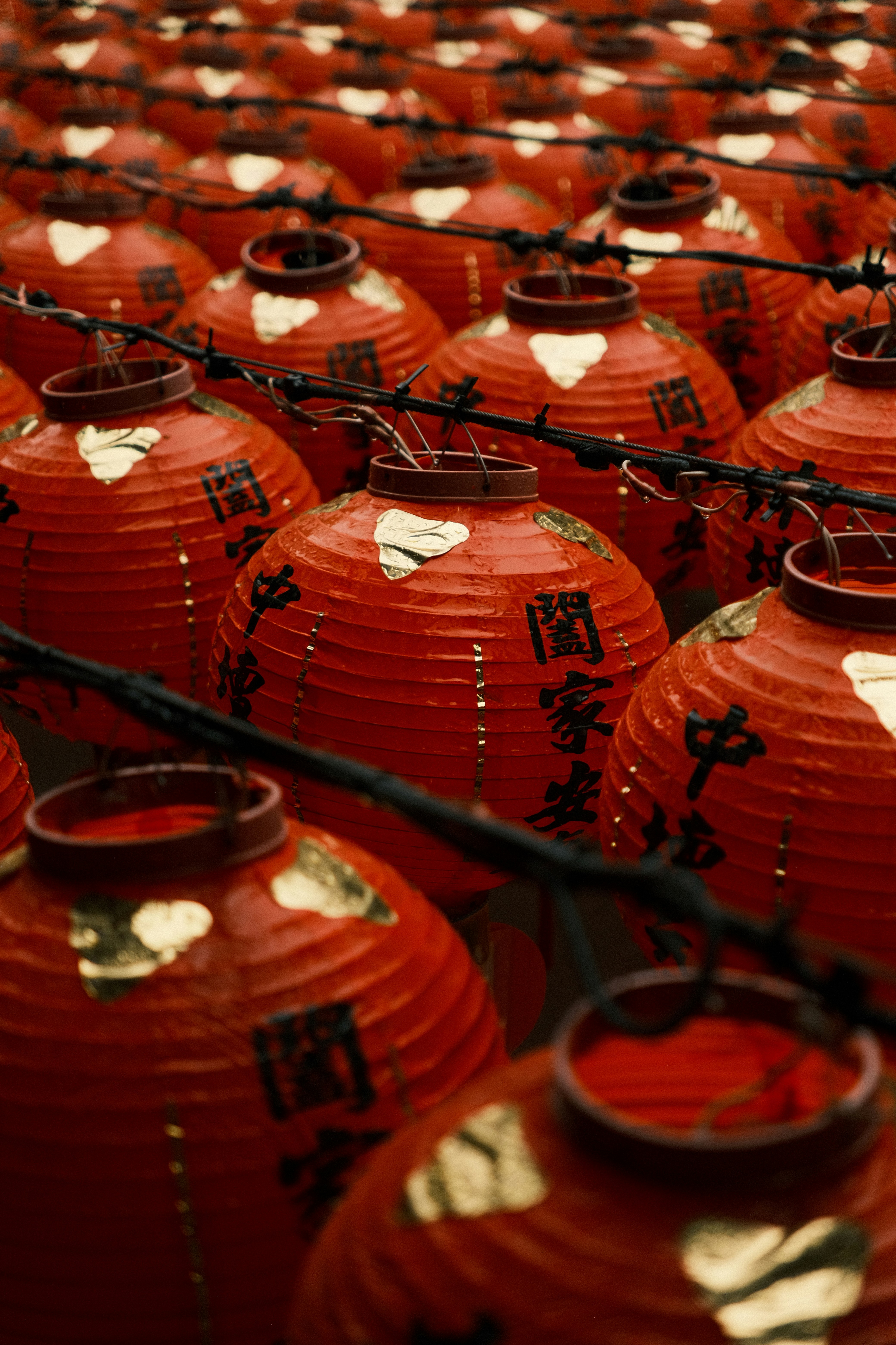 Crimson Lantern Field: A Dense Sea of Red Paper Orbs