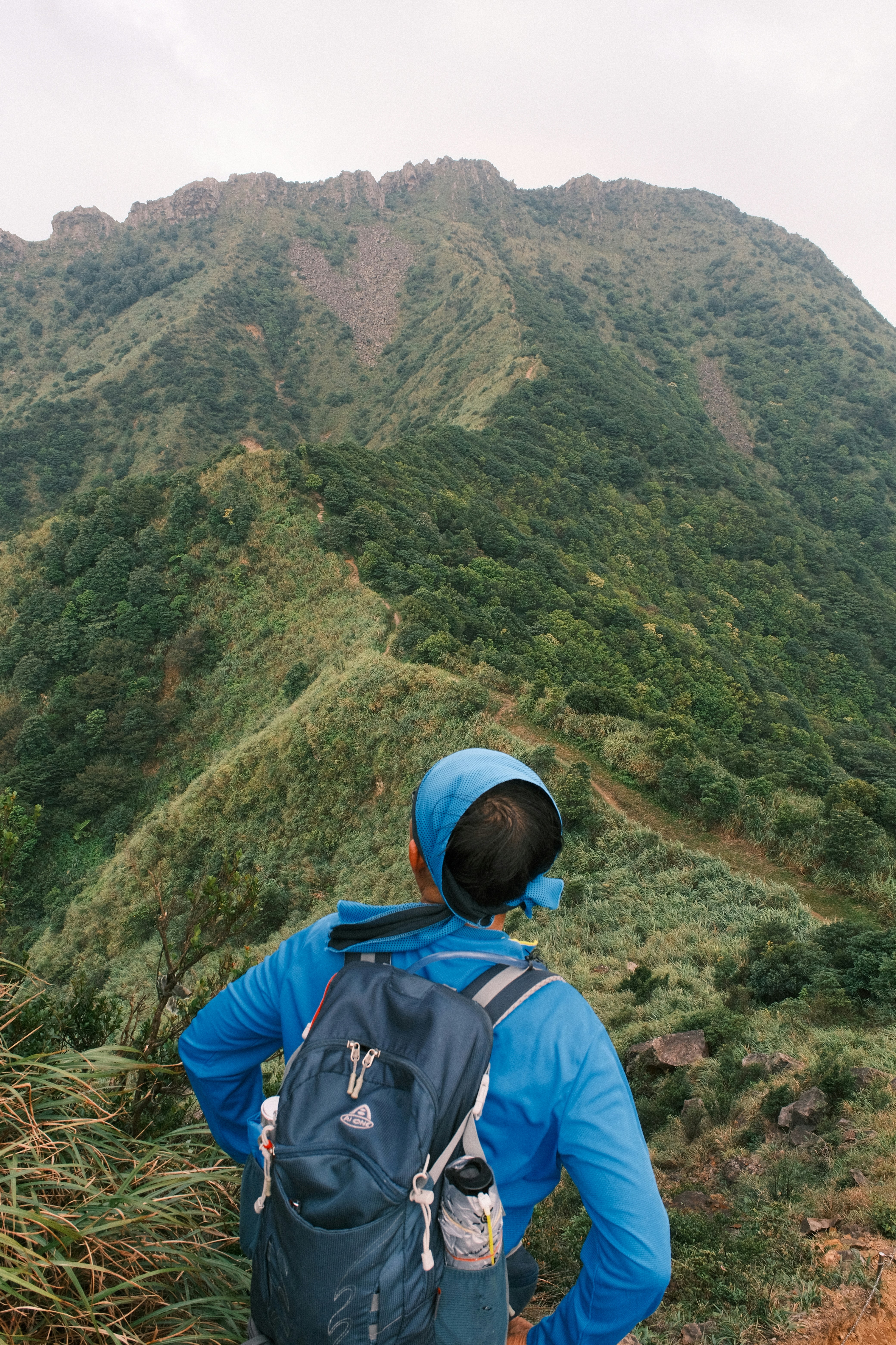Journey to the Summit: A Hiker's Reflection