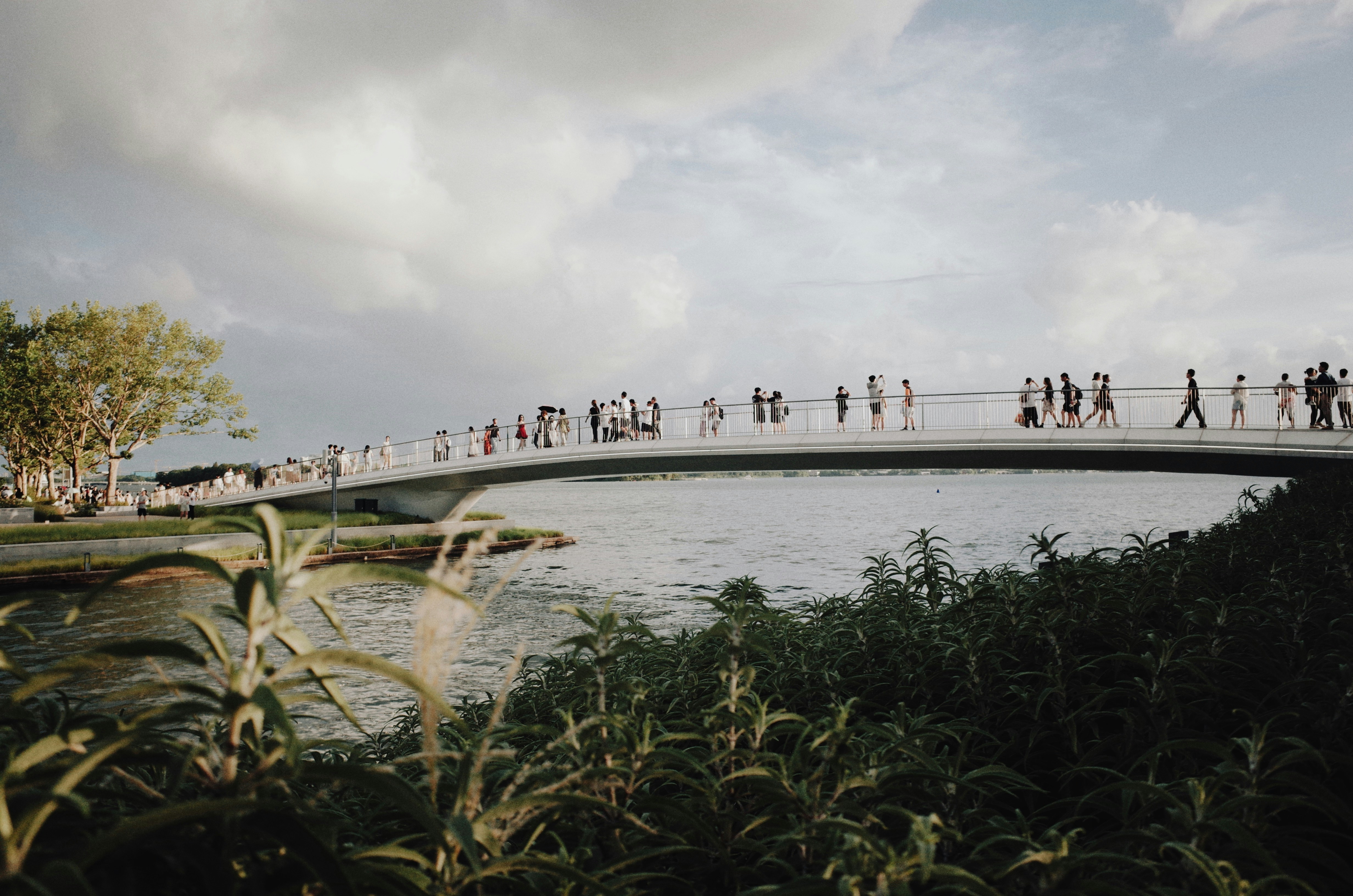 The Gathering on the Serene Span