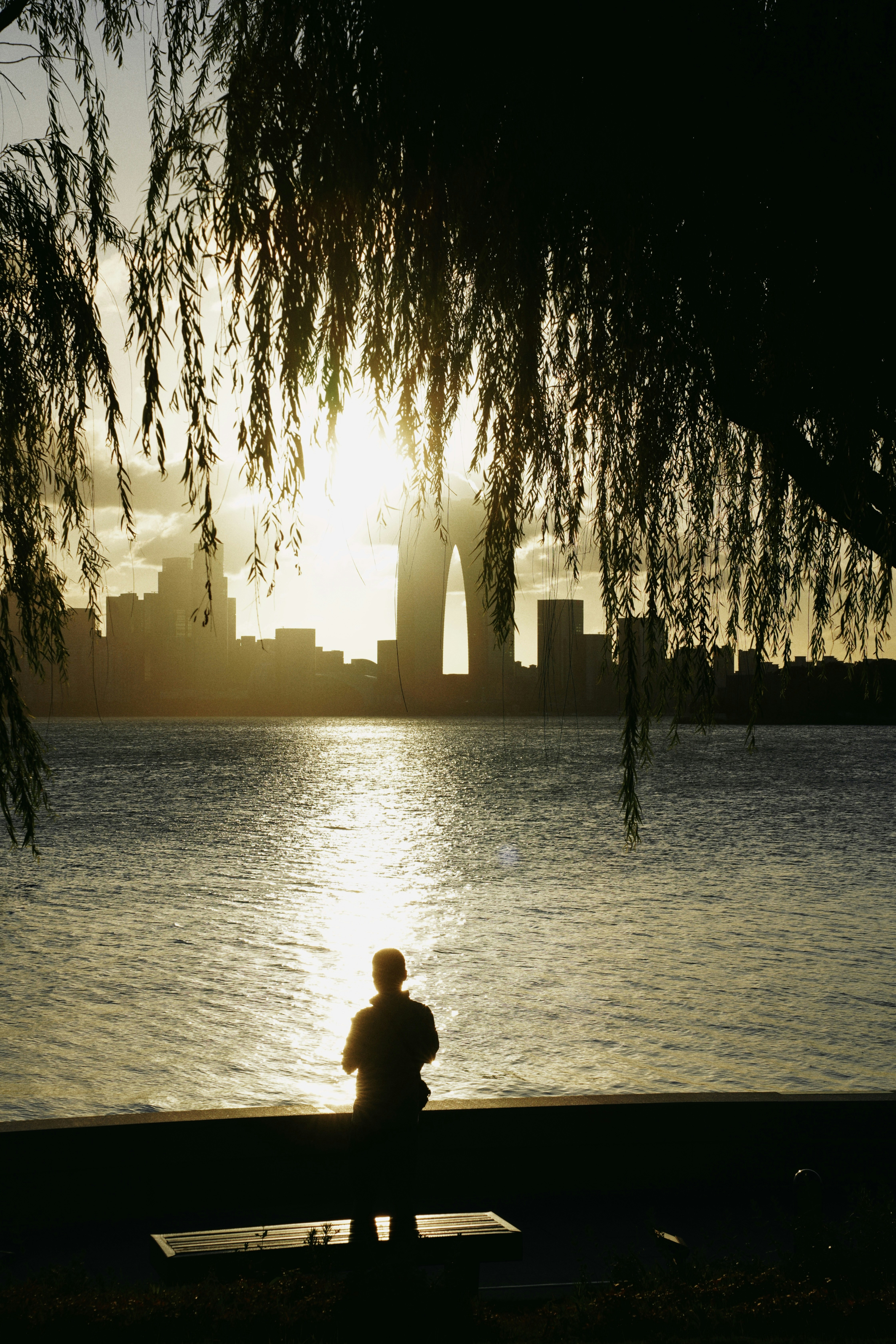 Silhouette Serenity: Reflecting on the Horizon