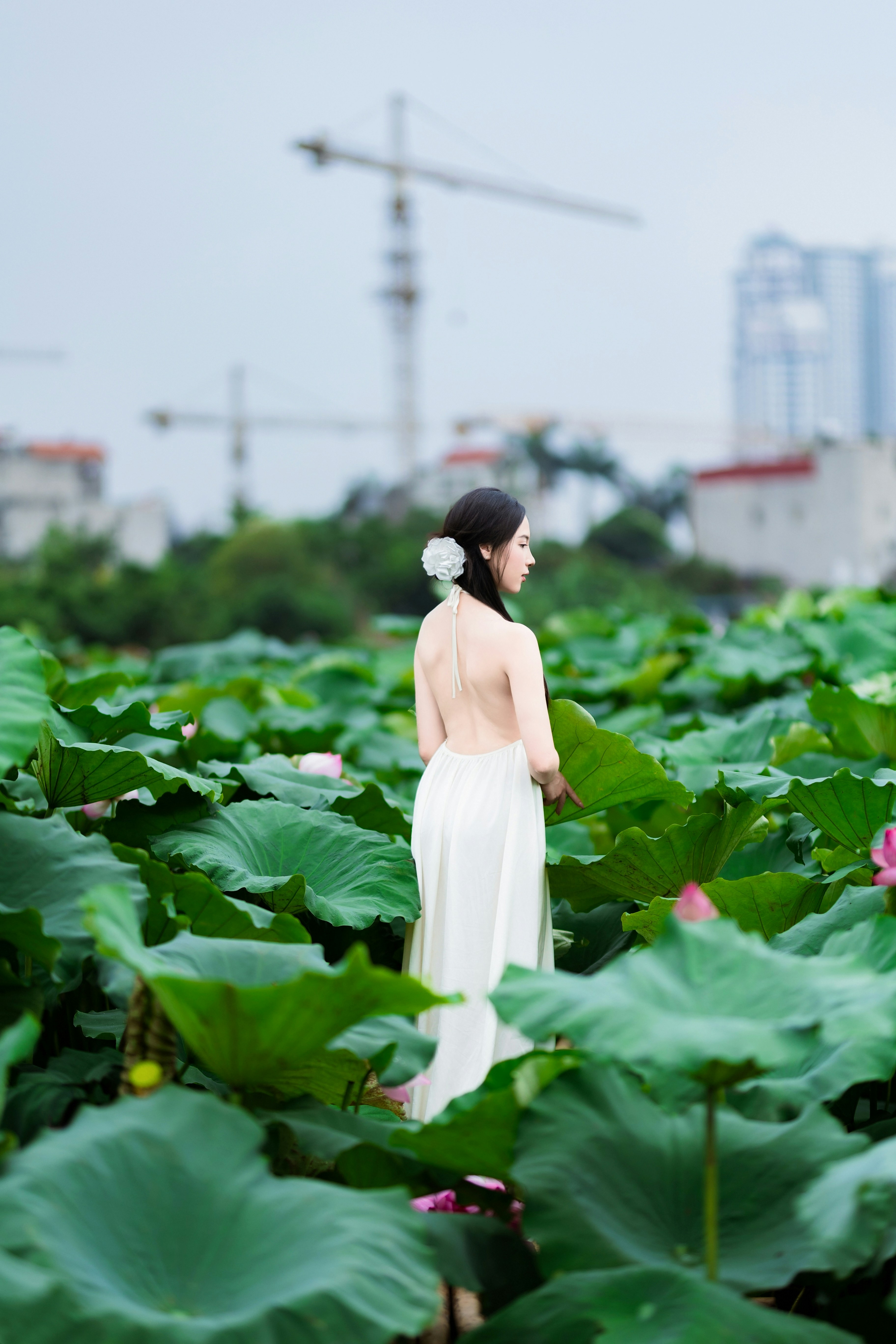A woman in a flowing white dress stands gracefully among lush green lotus leaves, with construction cranes and buildings in the background, symbolizing the blend of nature and urban development.