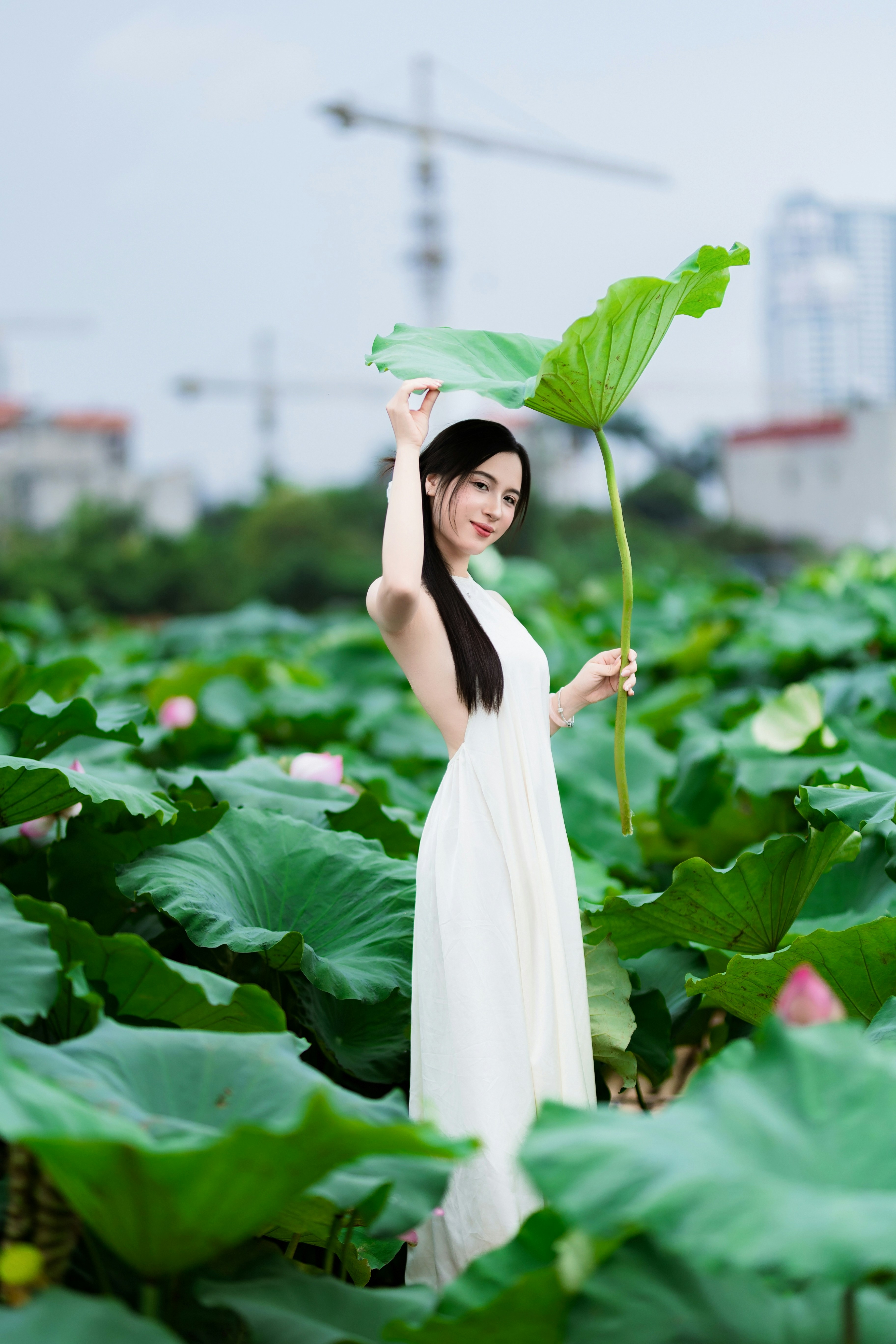 Young woman in a flowing white dress holds a large lotus leaf amidst a vibrant lotus pond, showcasing the harmony between fashion and nature.