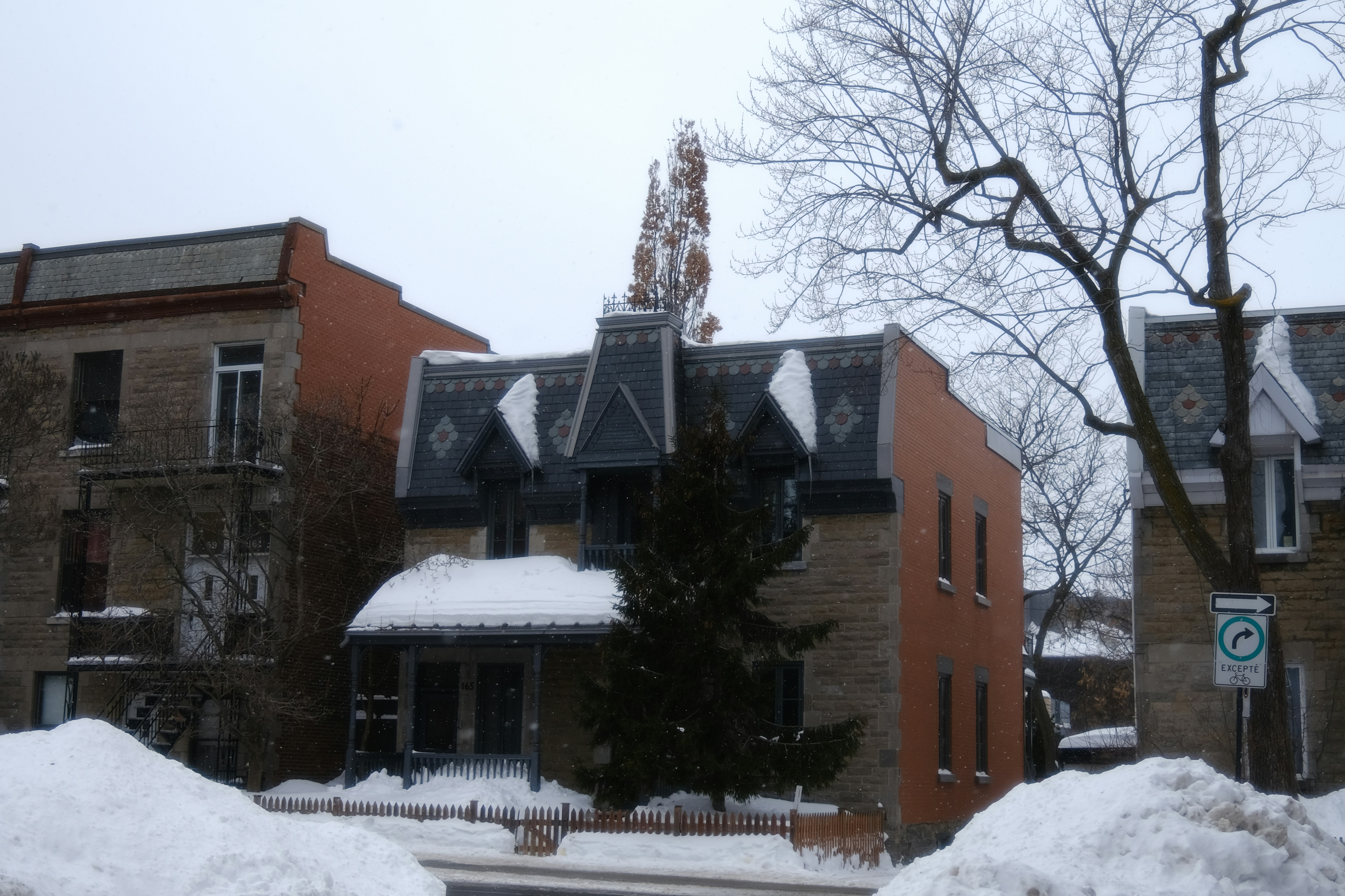 Snowy houses with snow-covered roofs and trees.