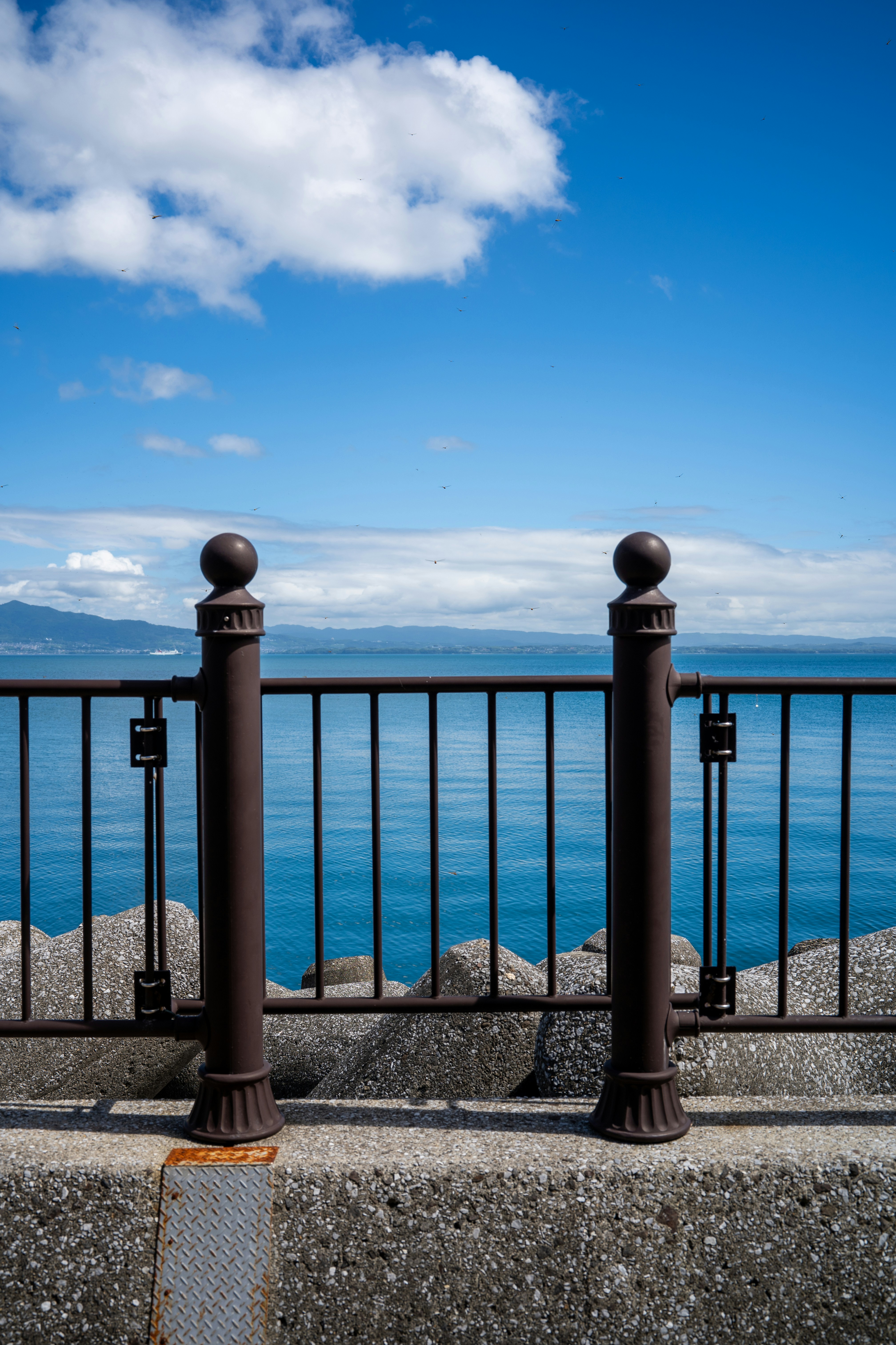 Seaside Serenity: A Barrier Between Land and Sea