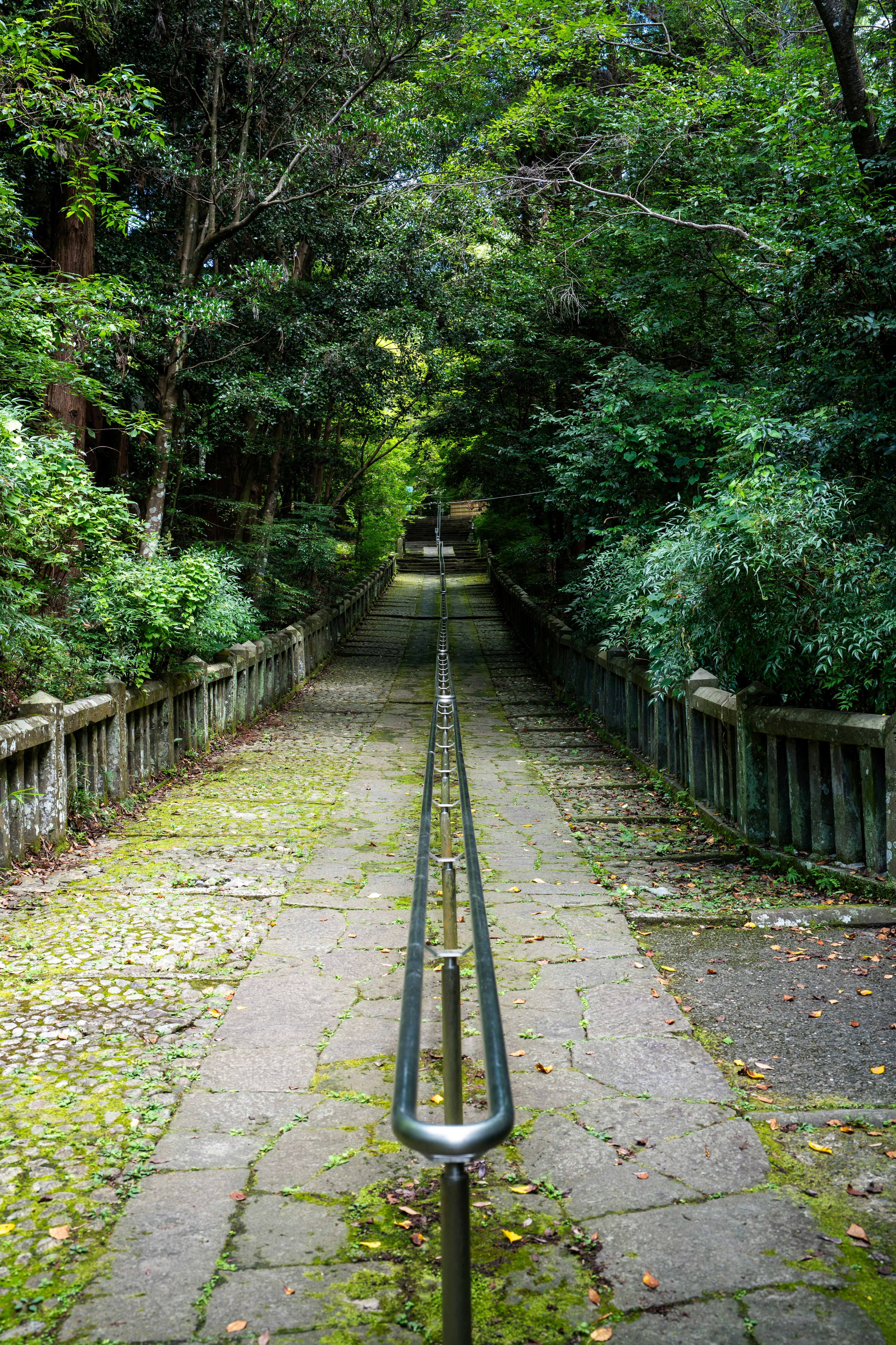 Stone stairs lead through lush, green trees.