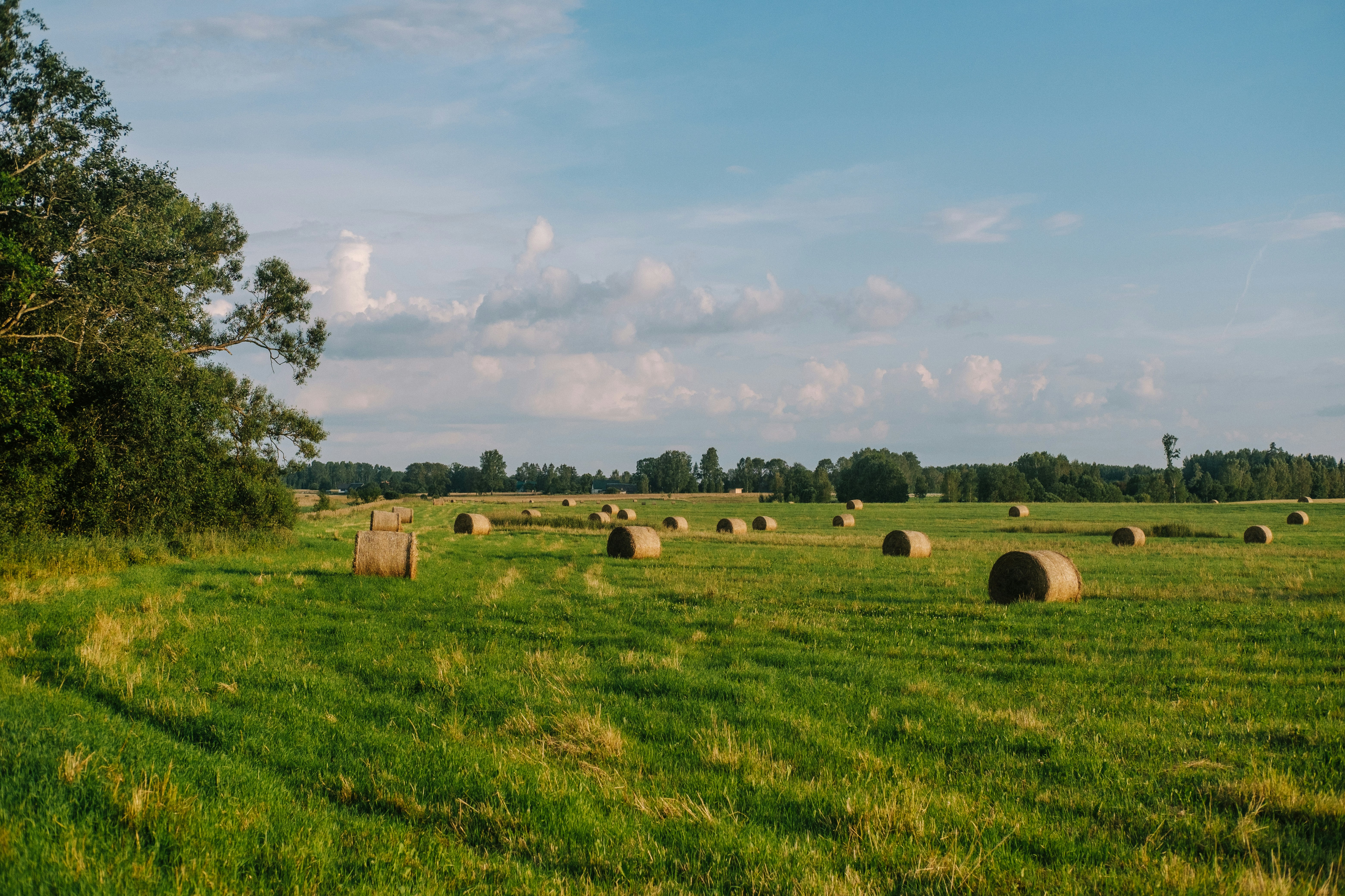 Hay bales dot a green field under a blue sky.