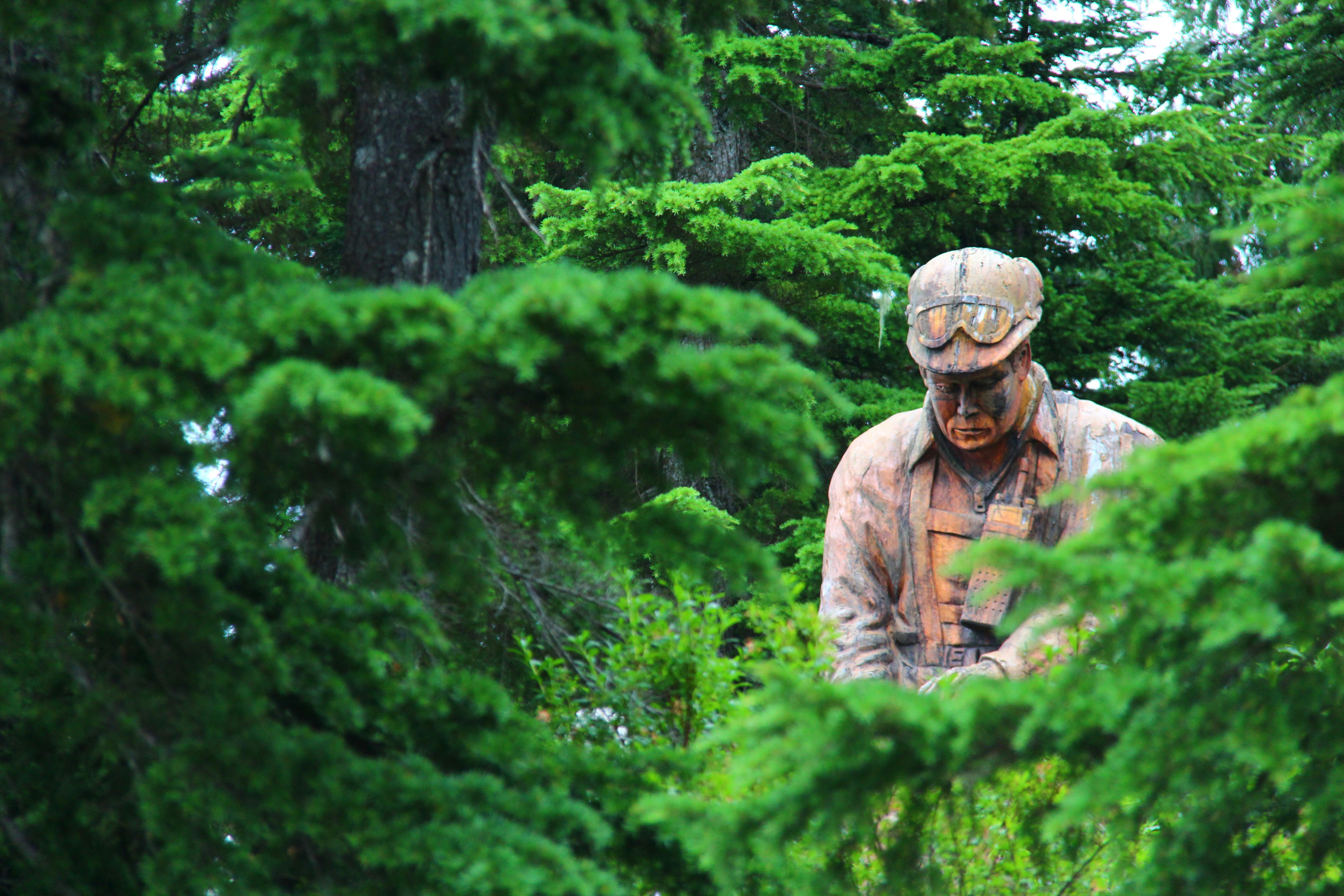 Silent Sentinel of the Forest