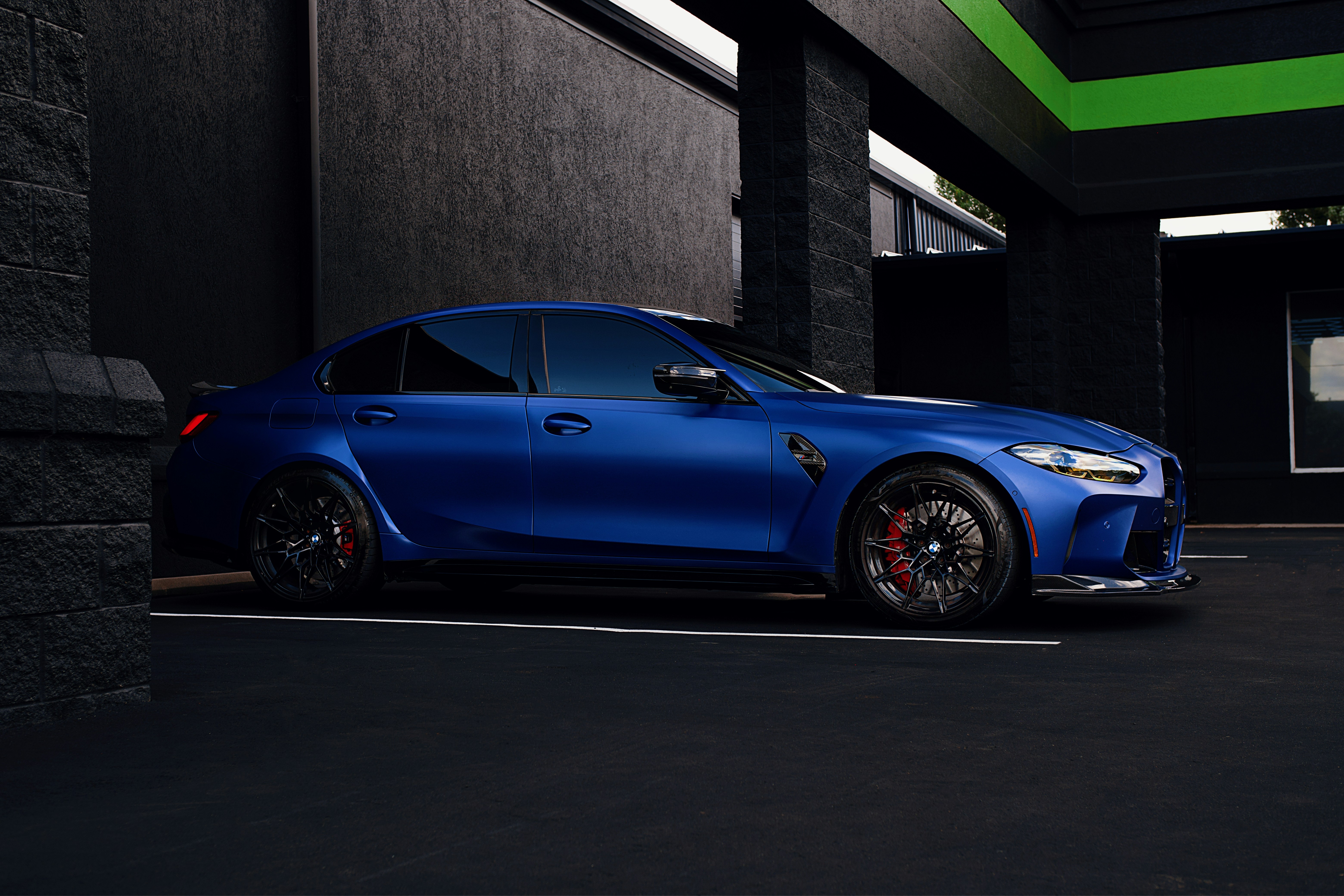 Dynamic Elegance: The Blue Beast in Shadows