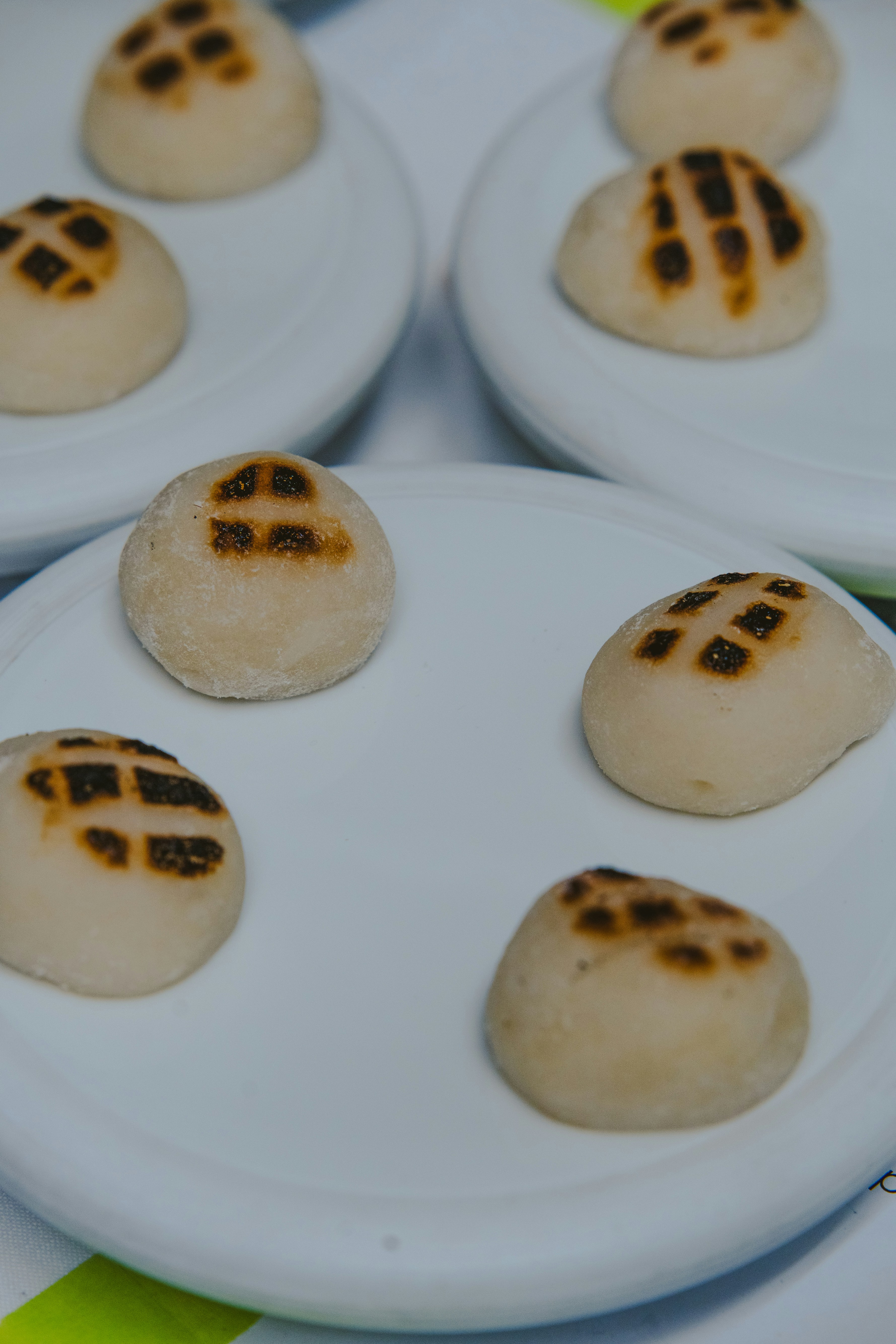 Culinary Artistry: Grilled Delights on Display