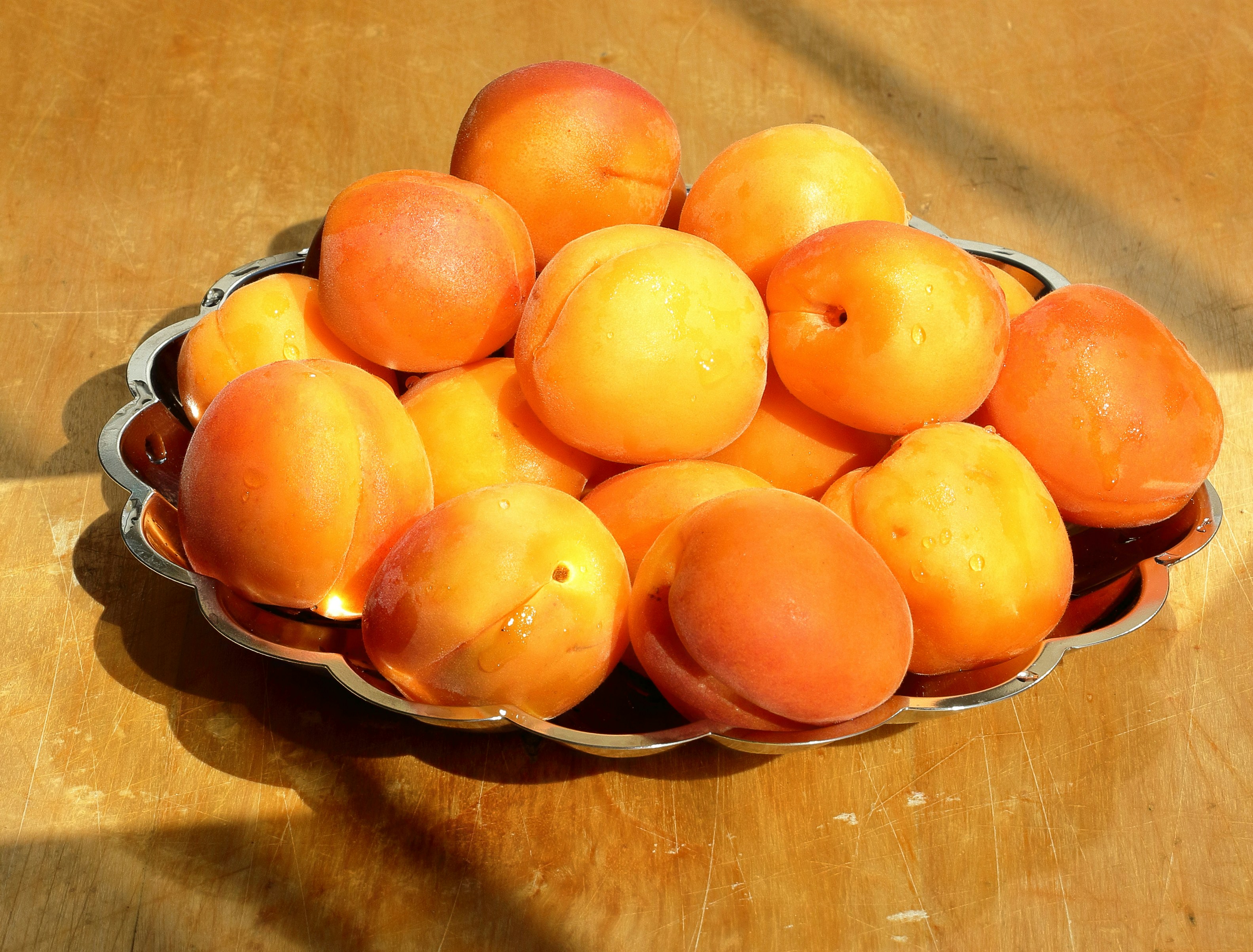 A bowl of fresh, ripe apricots.