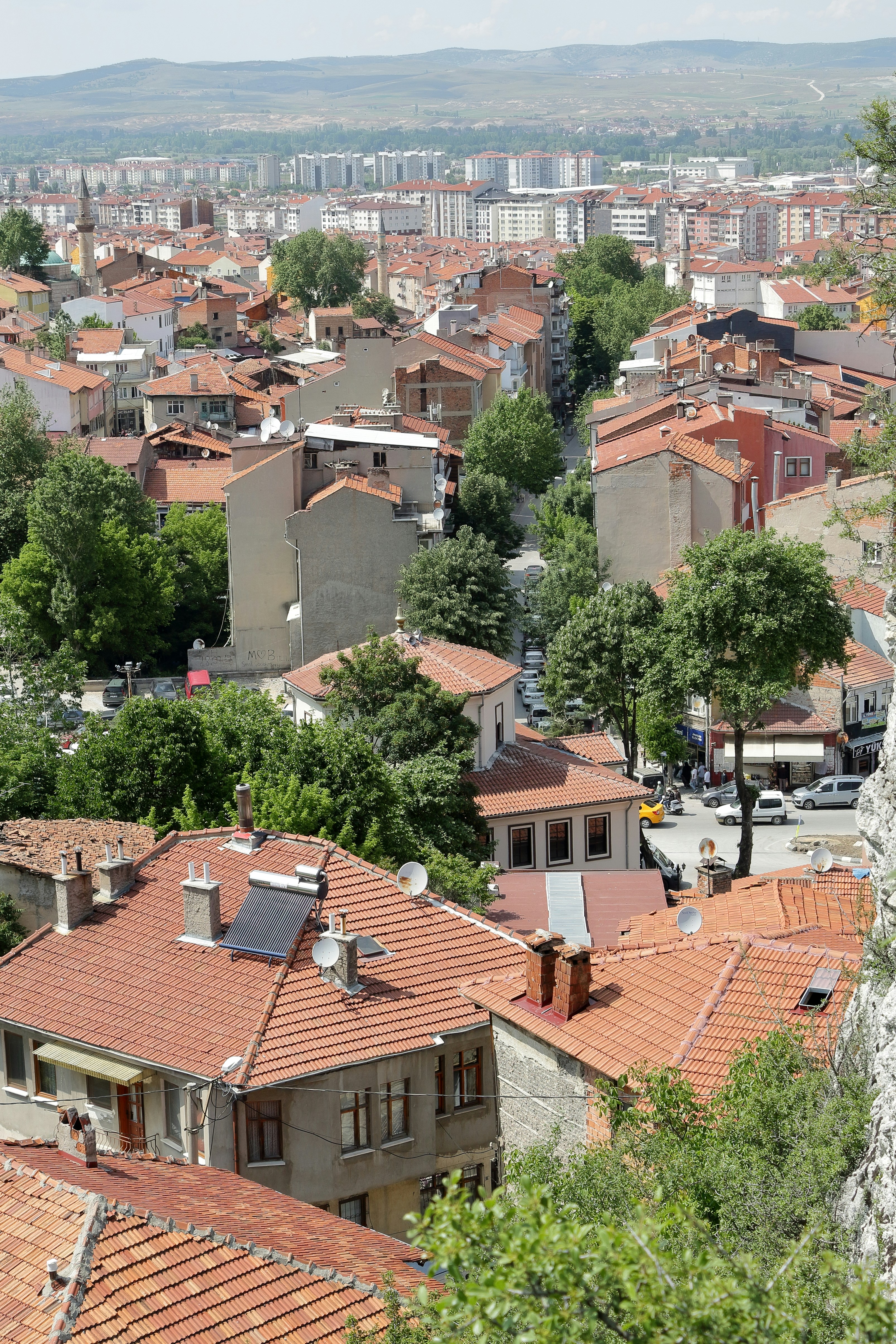 Vibrant cityscape featuring terracotta-roofed buildings nestled among lush trees, showcasing a blend of urban and natural elements.