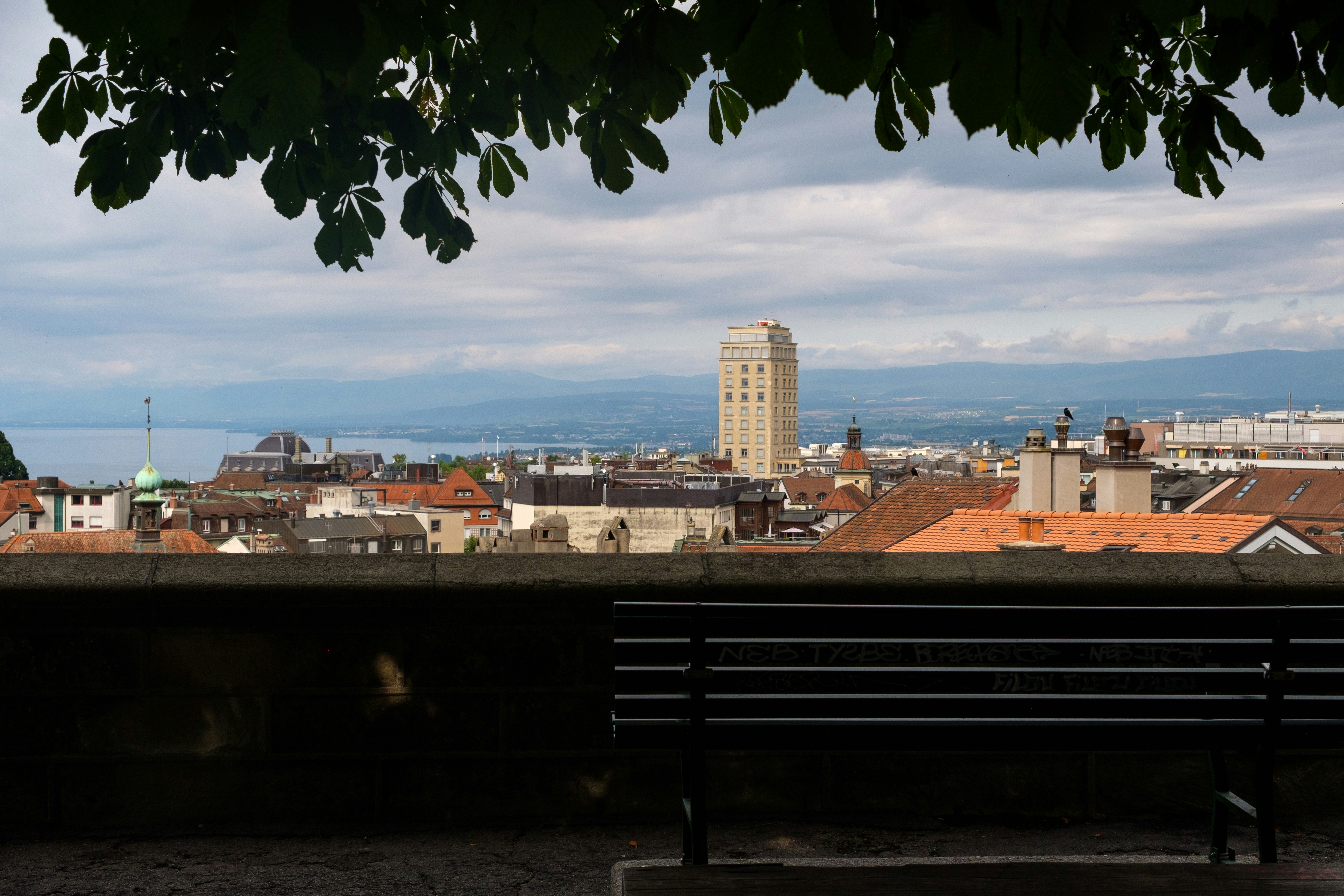 A city view framed by lush foliage, showcasing a blend of rooftops and a prominent tower against a cloudy sky.