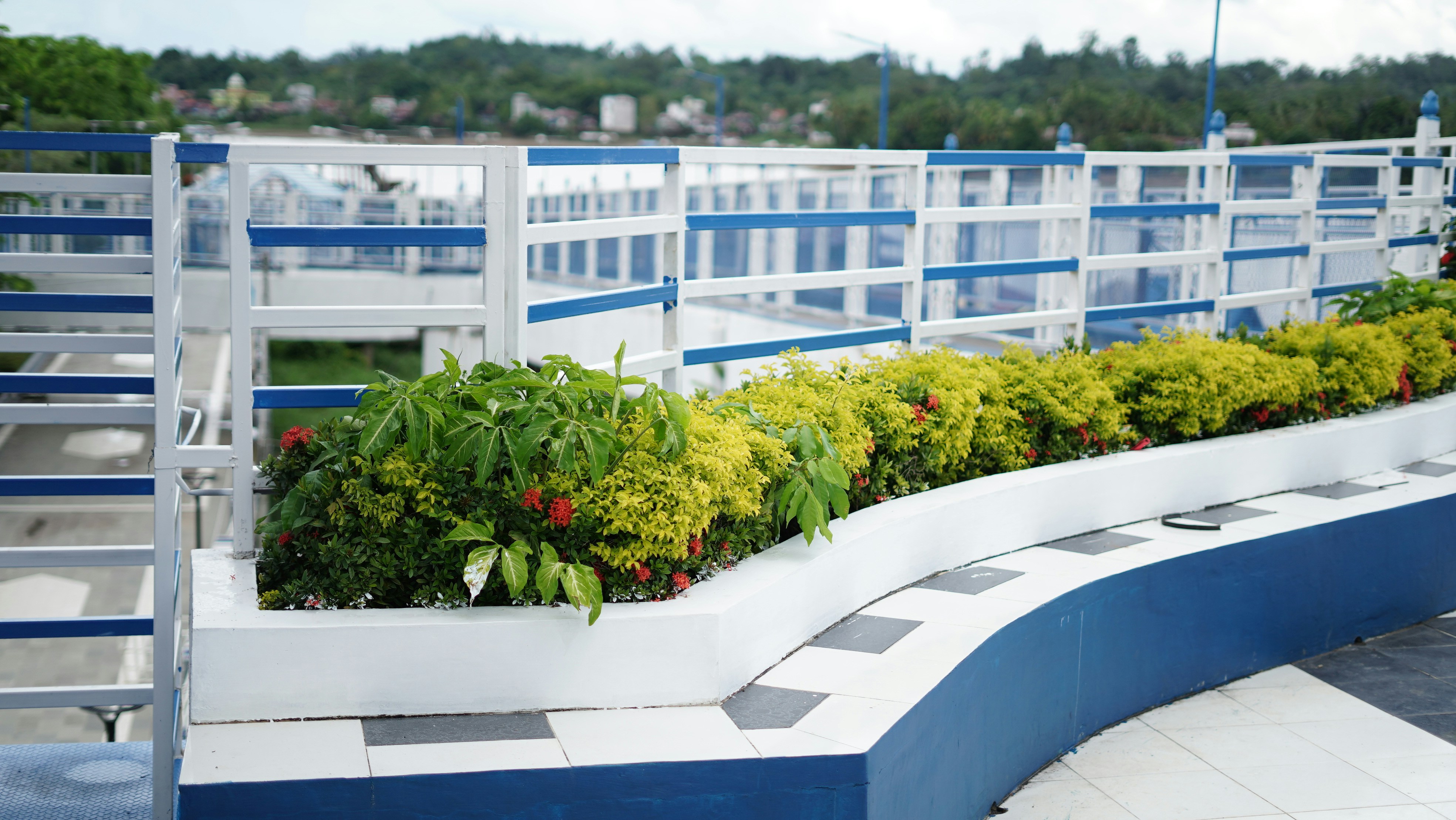 A white and blue terrace is adorned with plants.