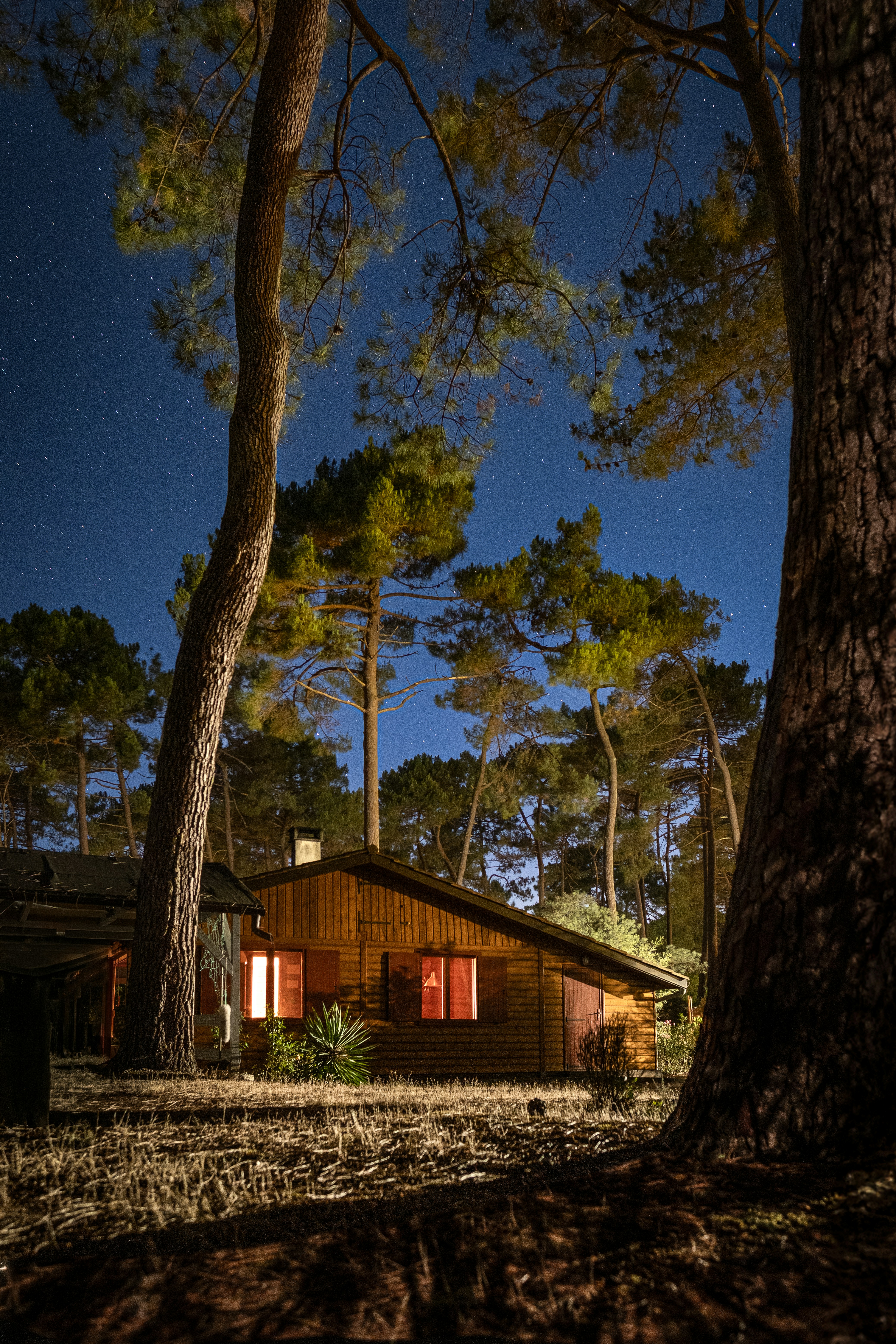 Cabin glows under a starry night sky.