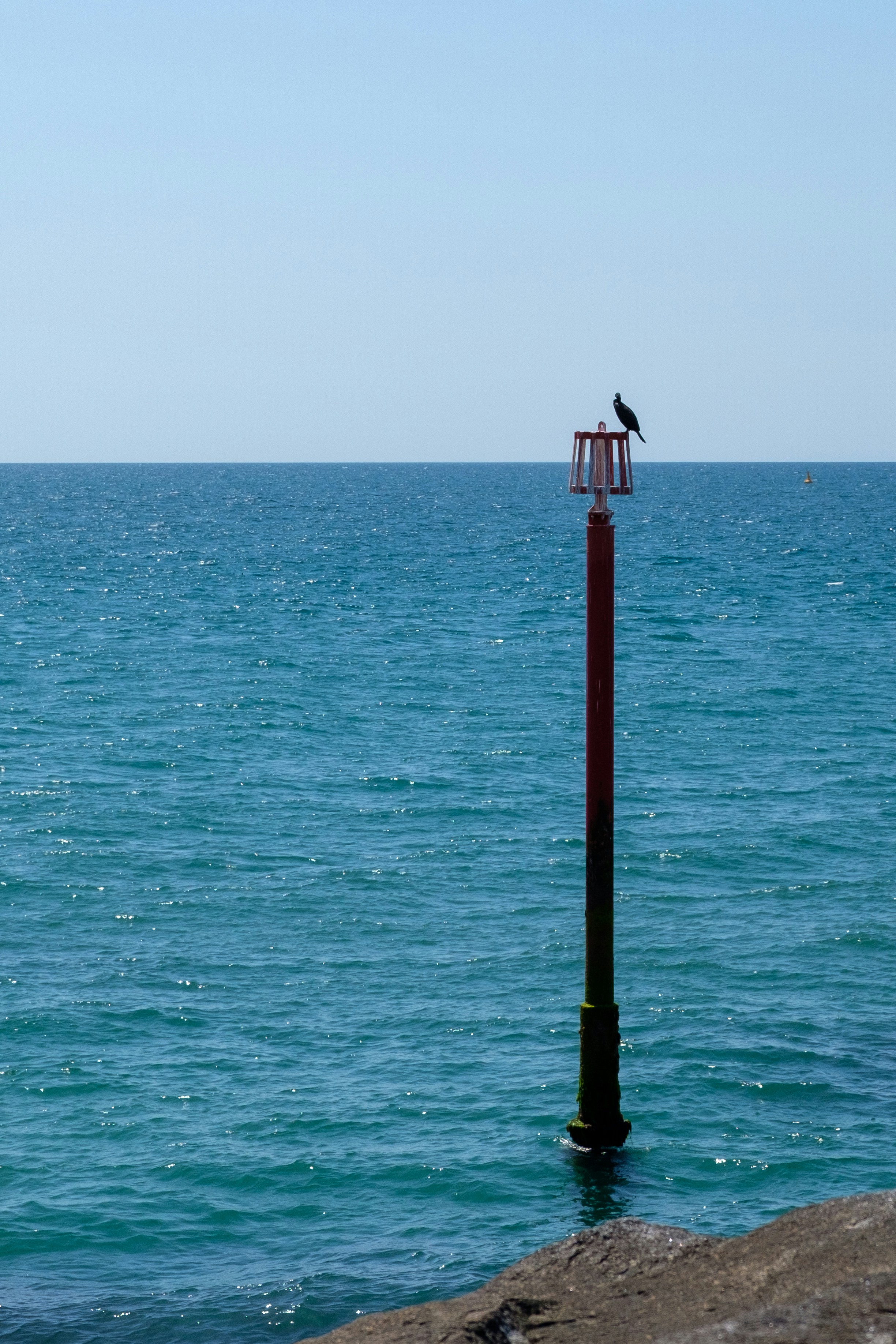 A bird perches on a sea marker.