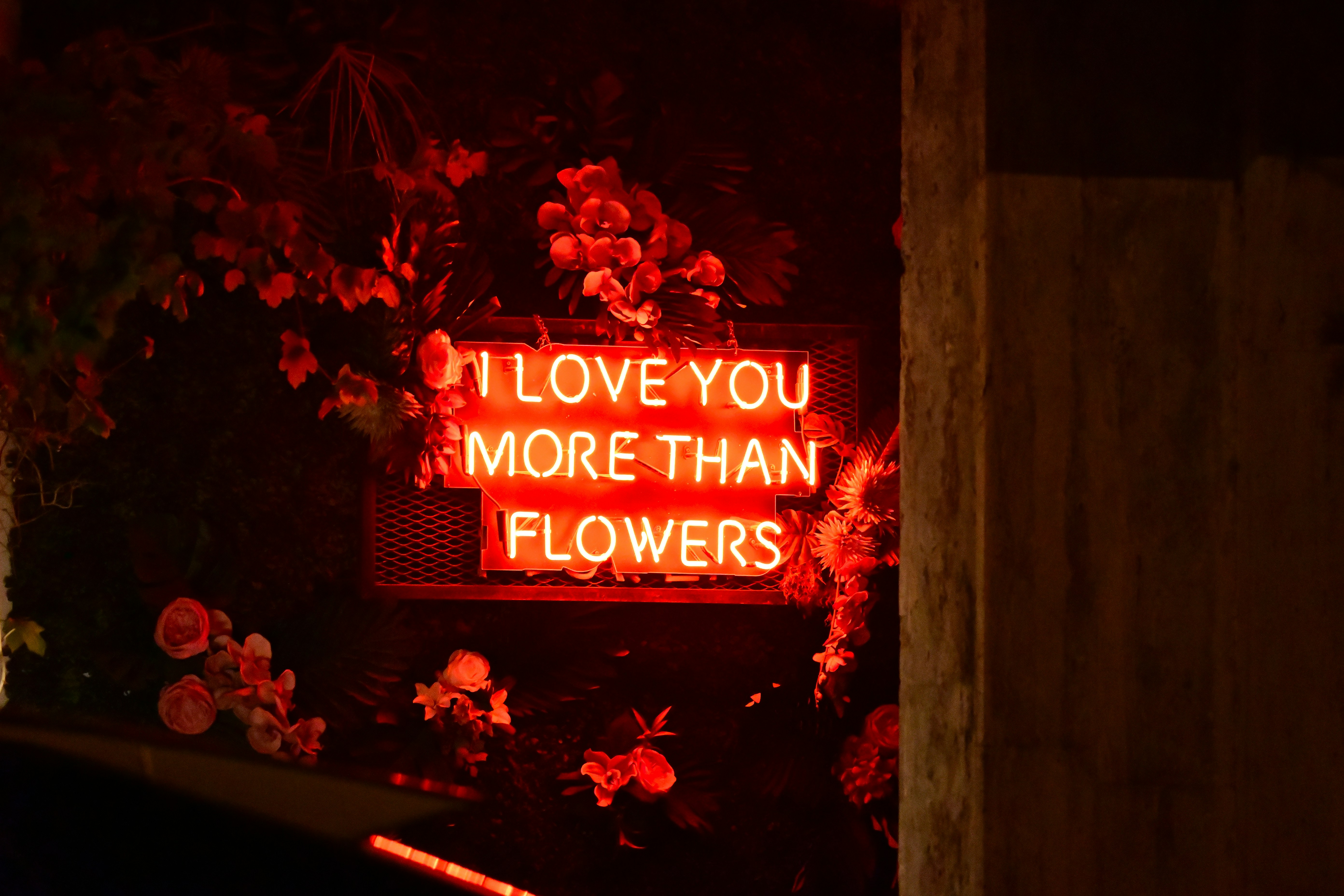 A Neon Promise Among Blooms