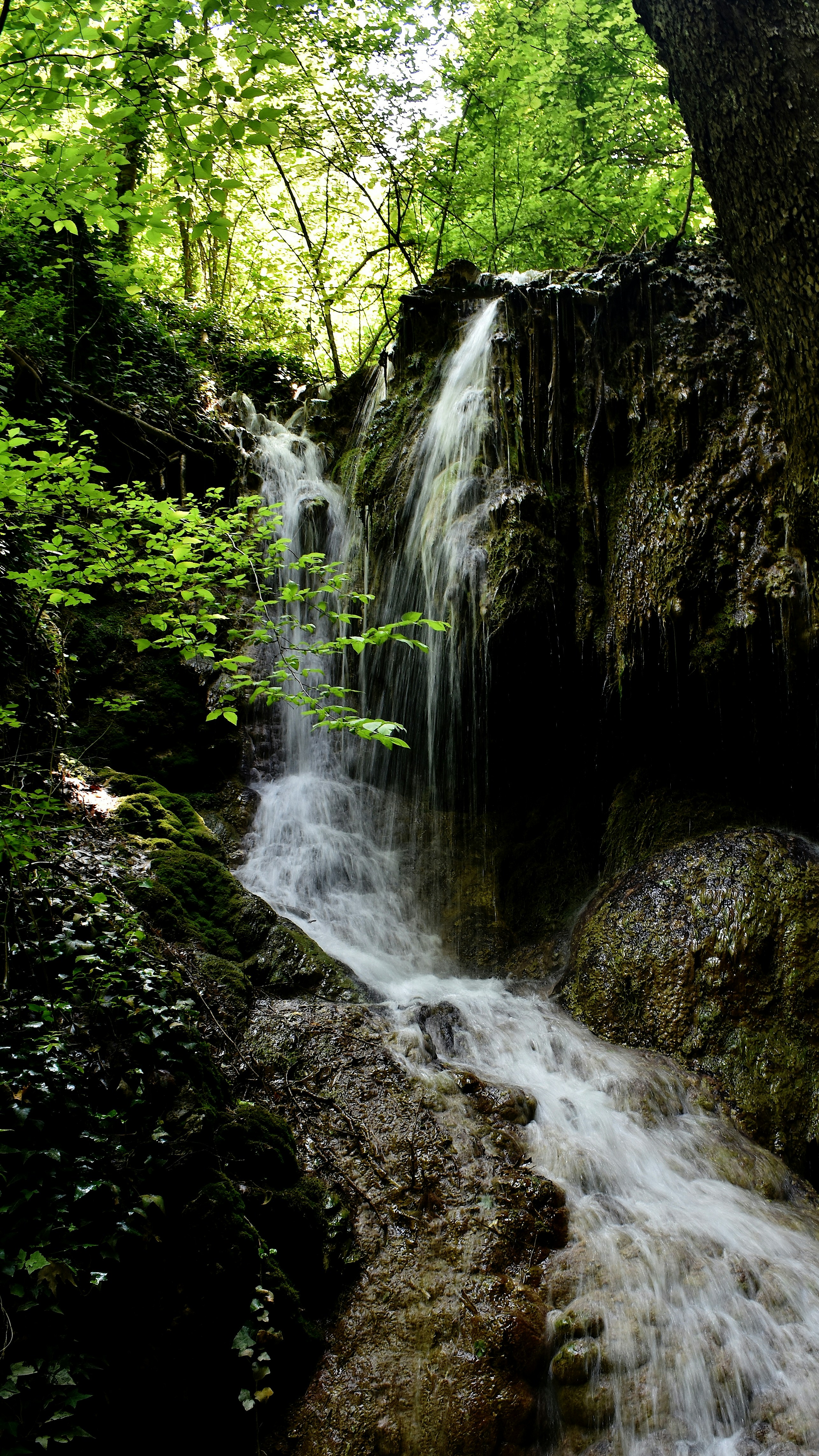 A waterfall cascades through a lush forest.