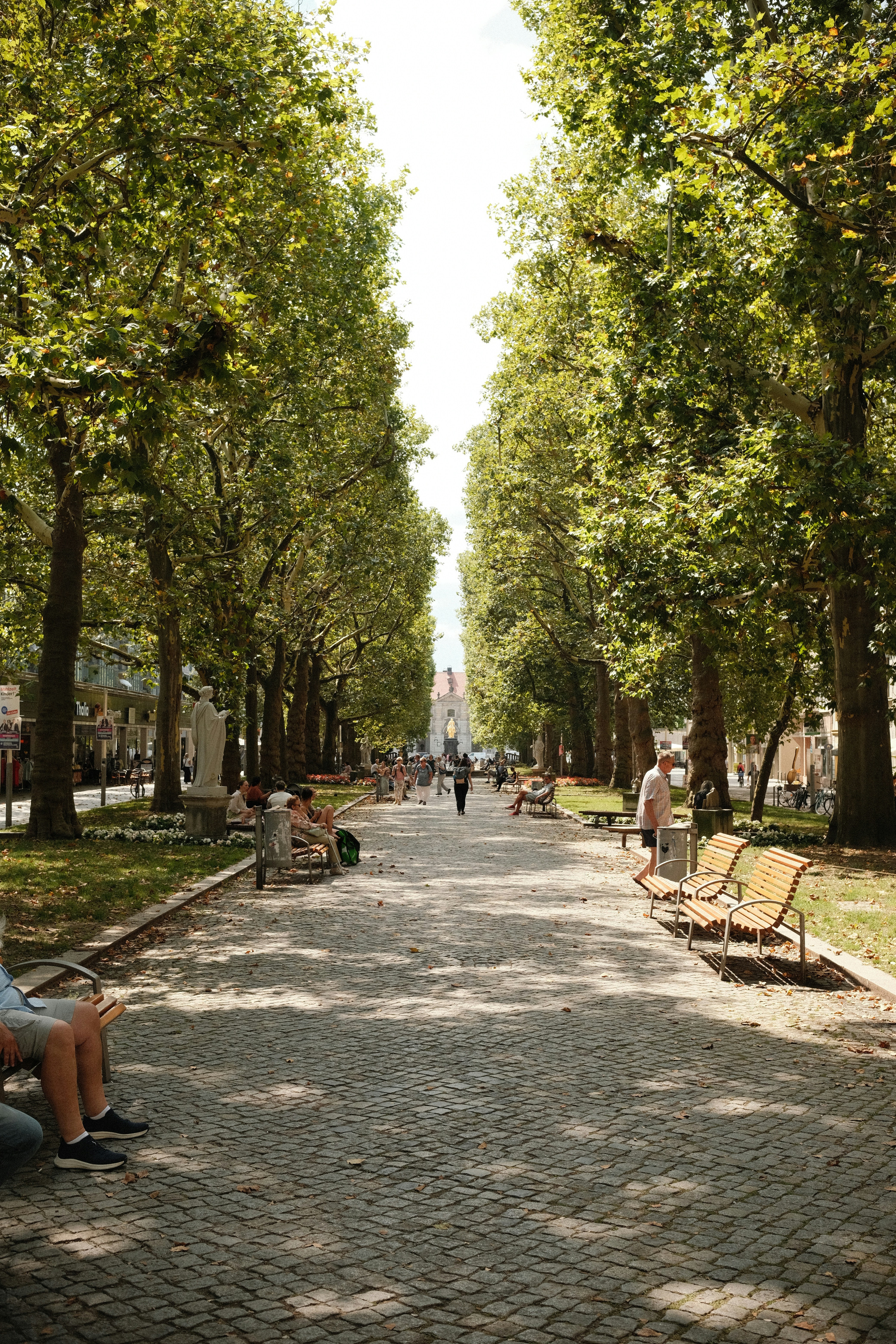 A tree-lined path with people relaxing on benches.