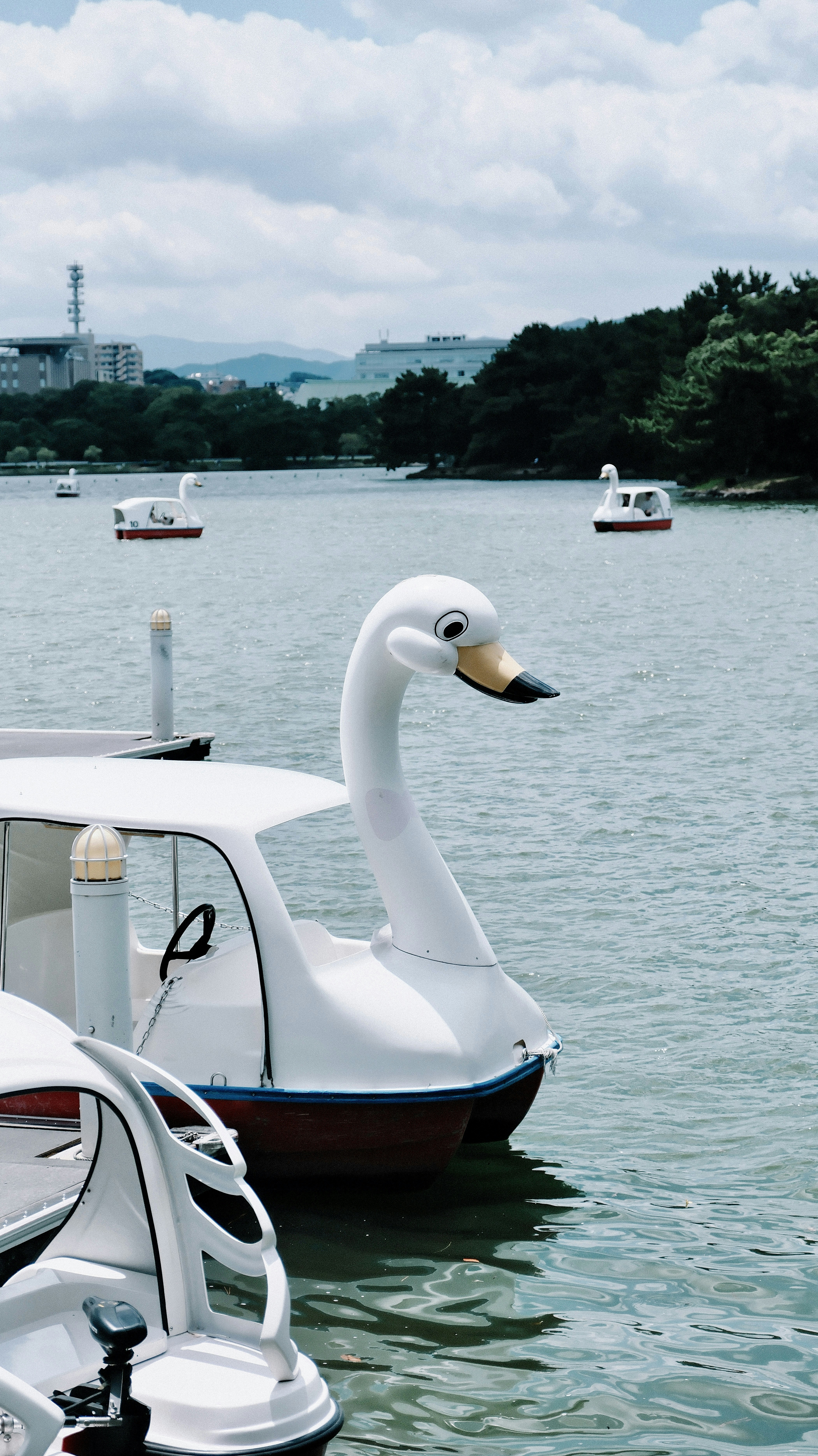 Swan paddle boats float on a peaceful lake.