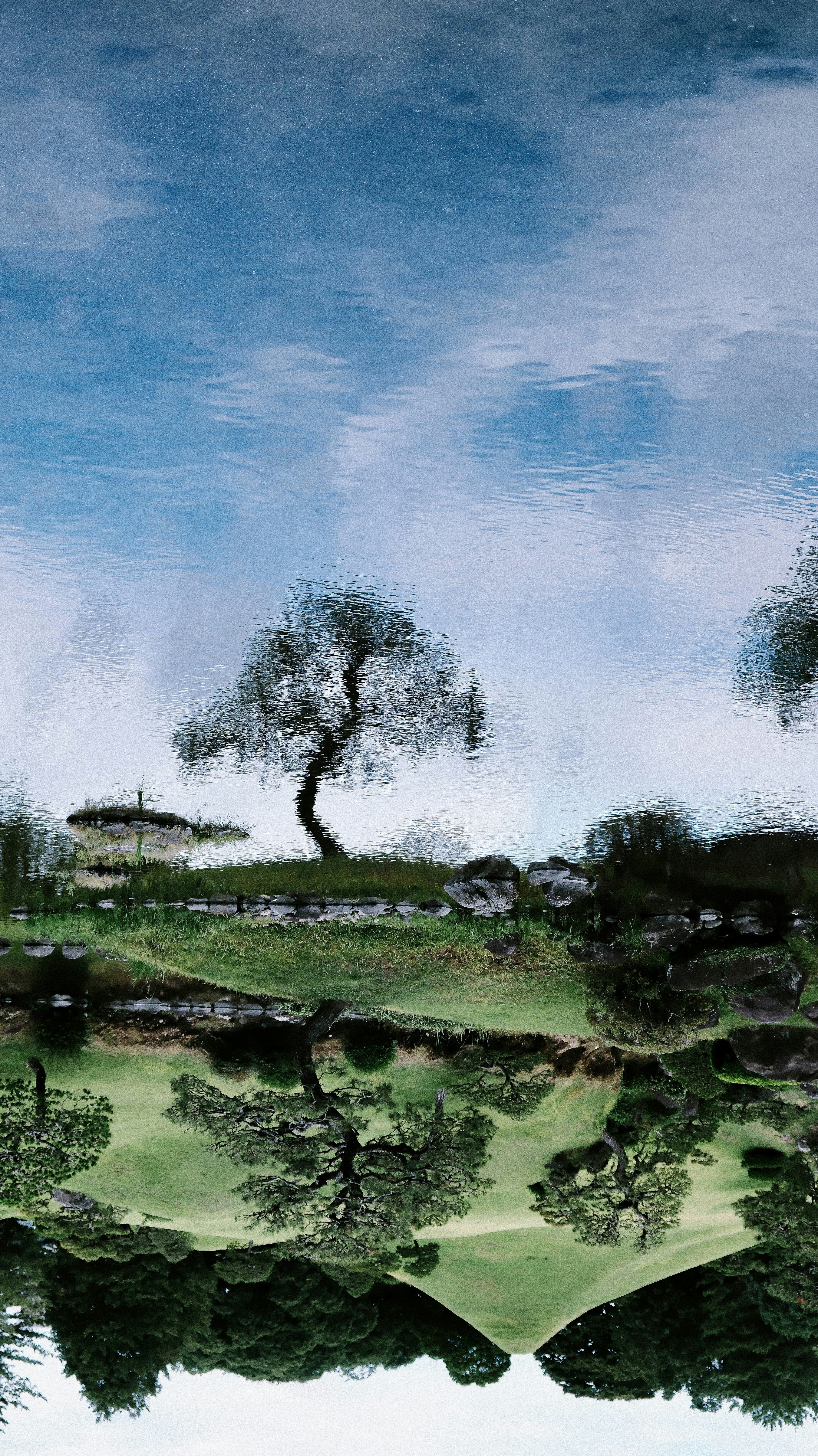 Reflections of Tranquility