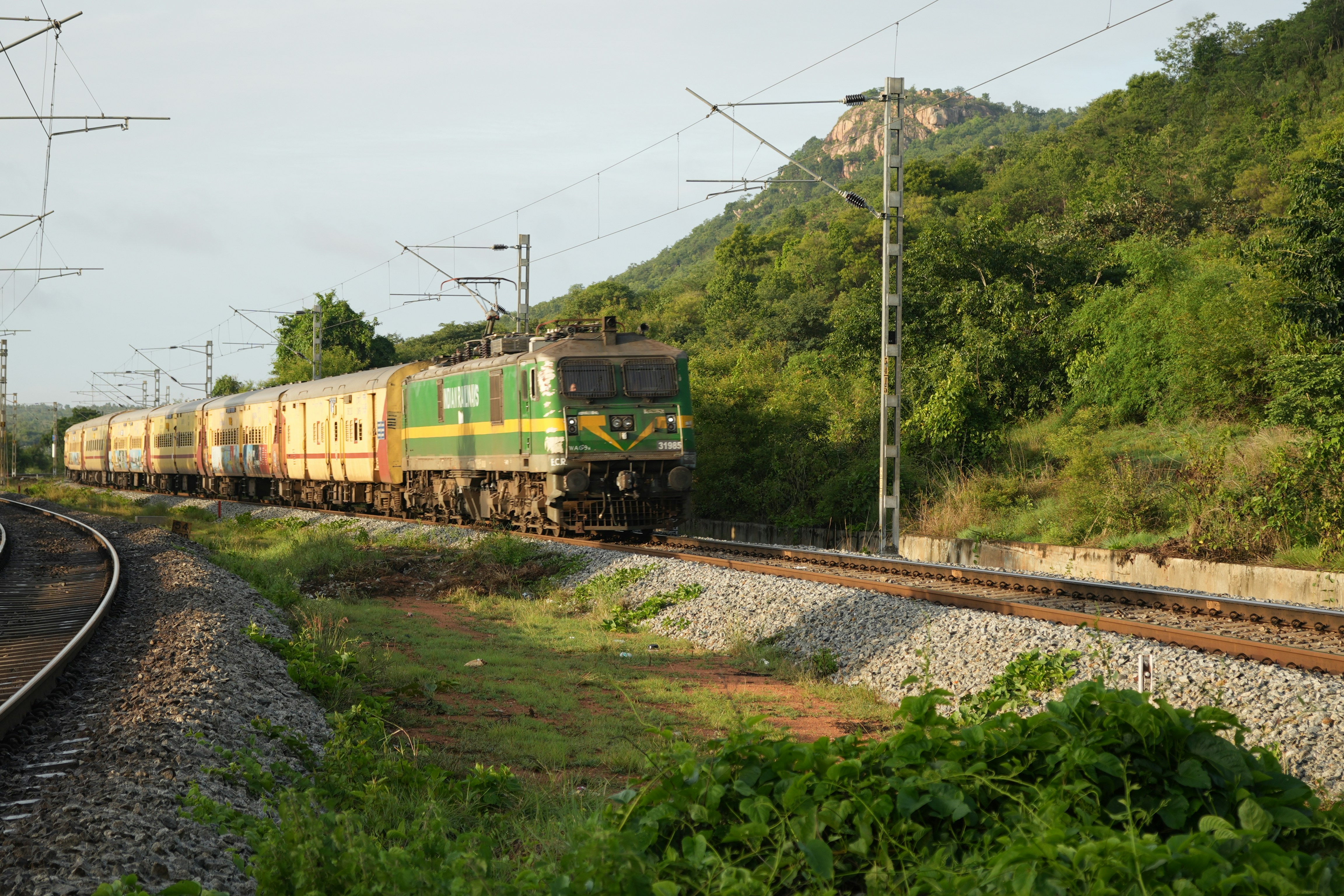 Journey Through Verdant Valleys: The Iron Horse's Passage