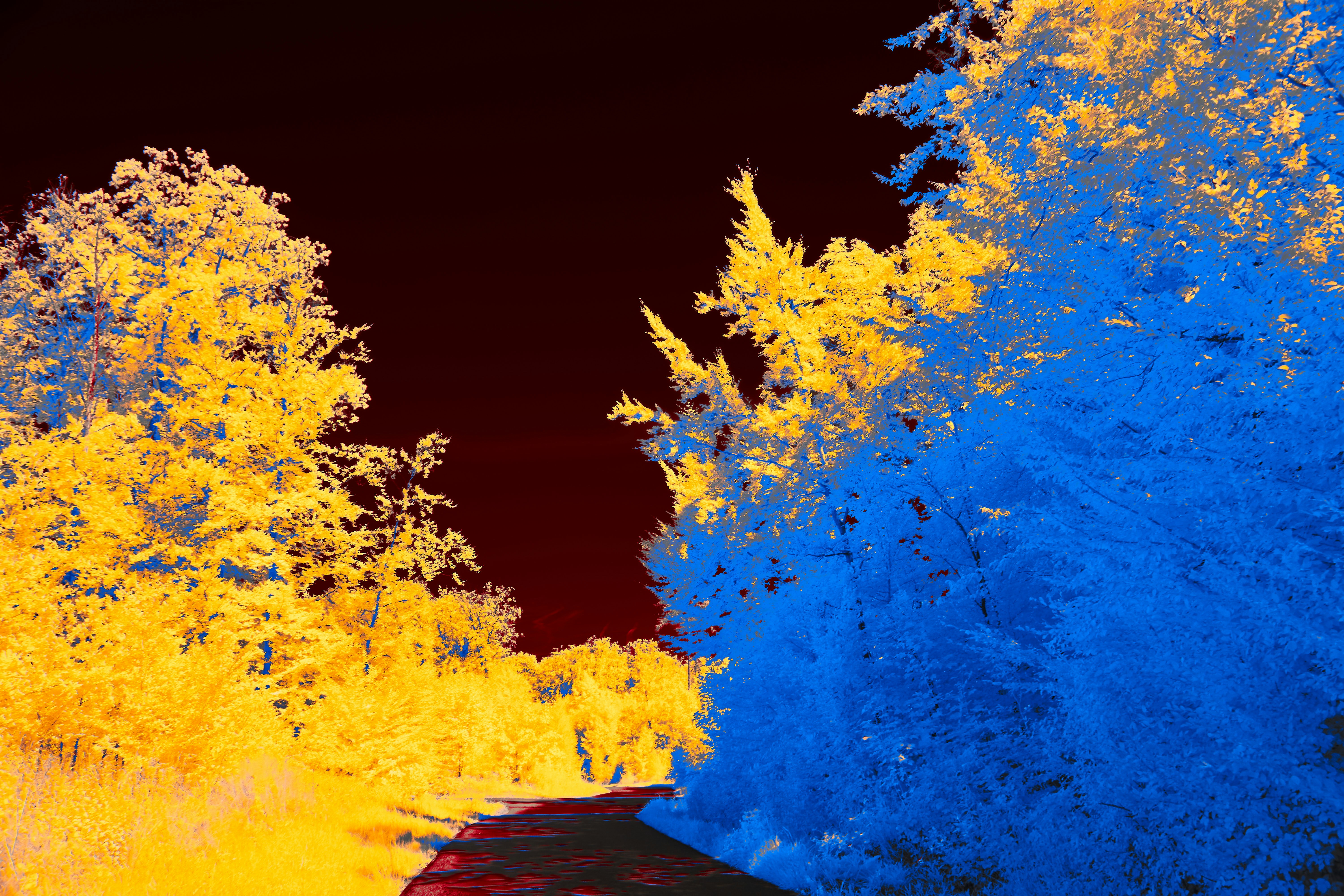 A Surreal Pathway Through Chromatic Wilderness