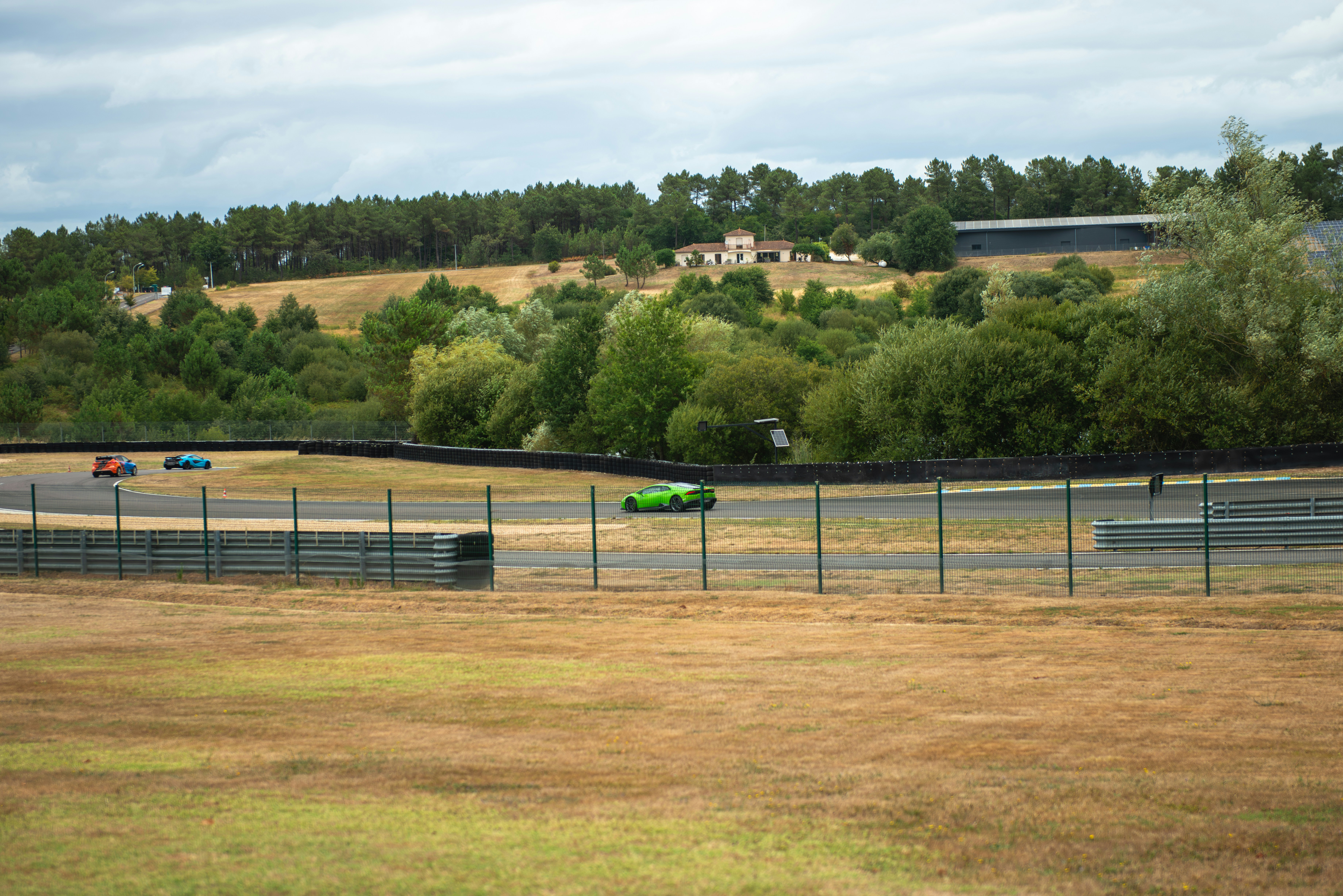 Racing Through Curves: A Symphony of Speed and Nature