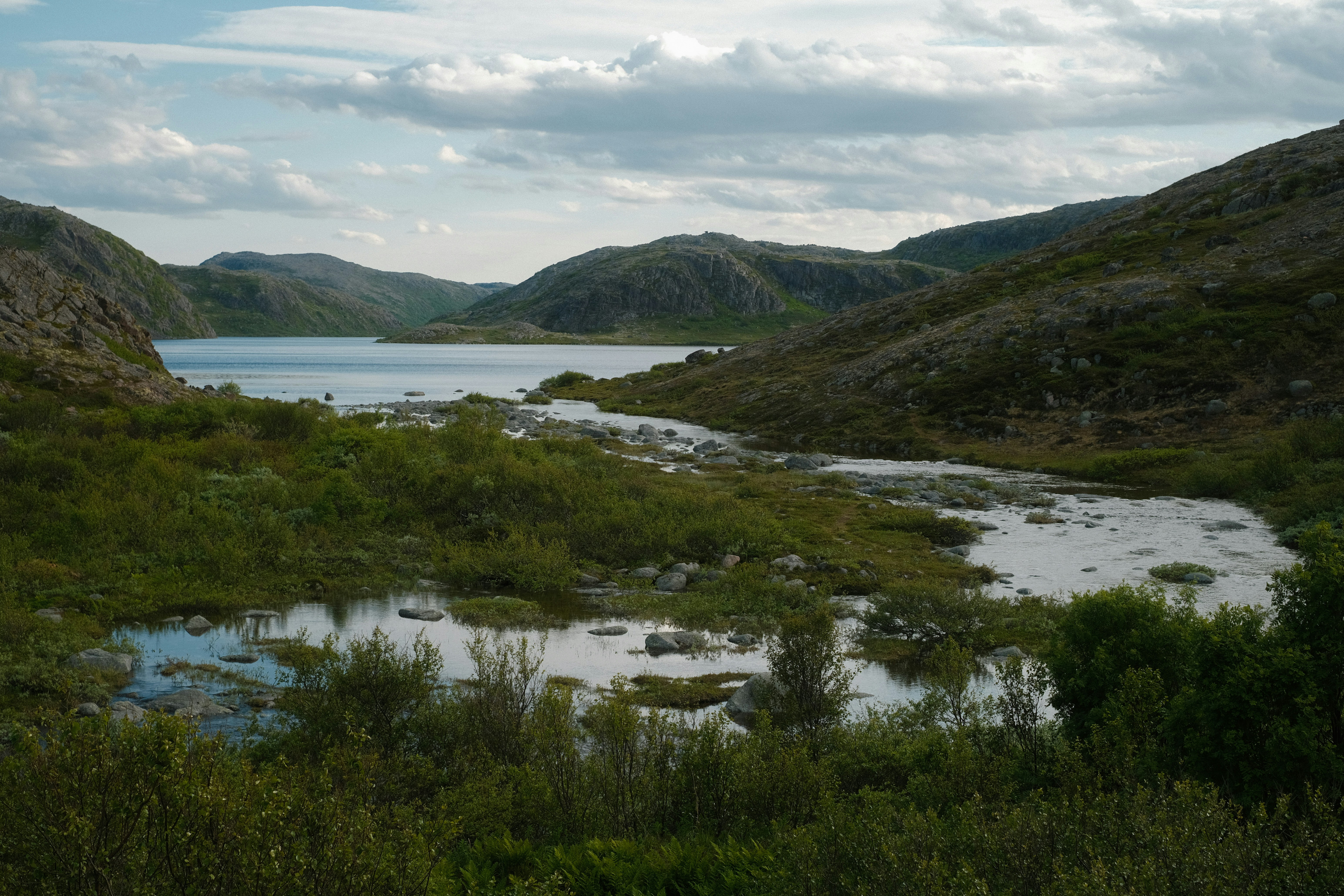A lush, green landscape with a lake.