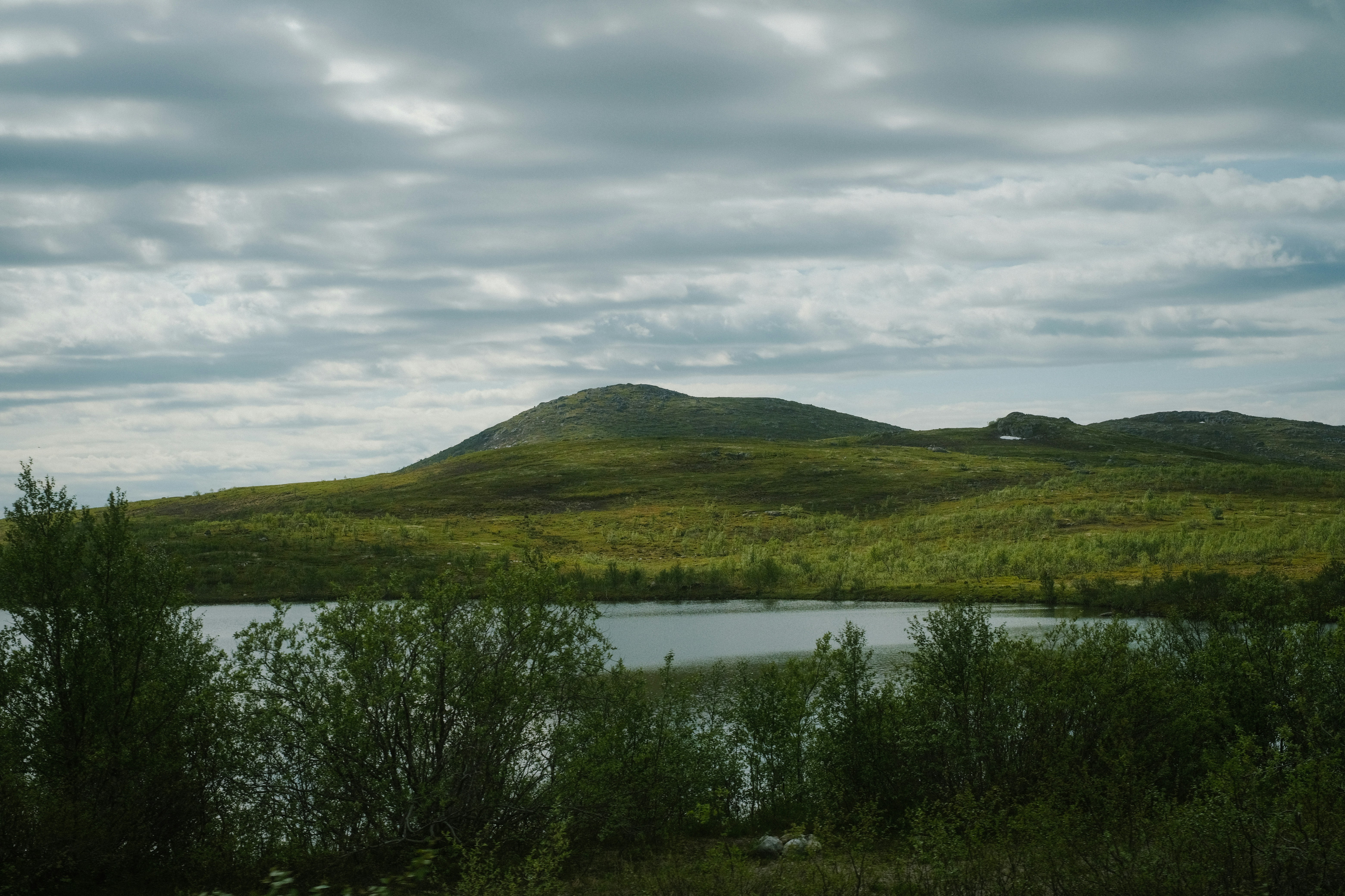 Whispers of the Green Hills