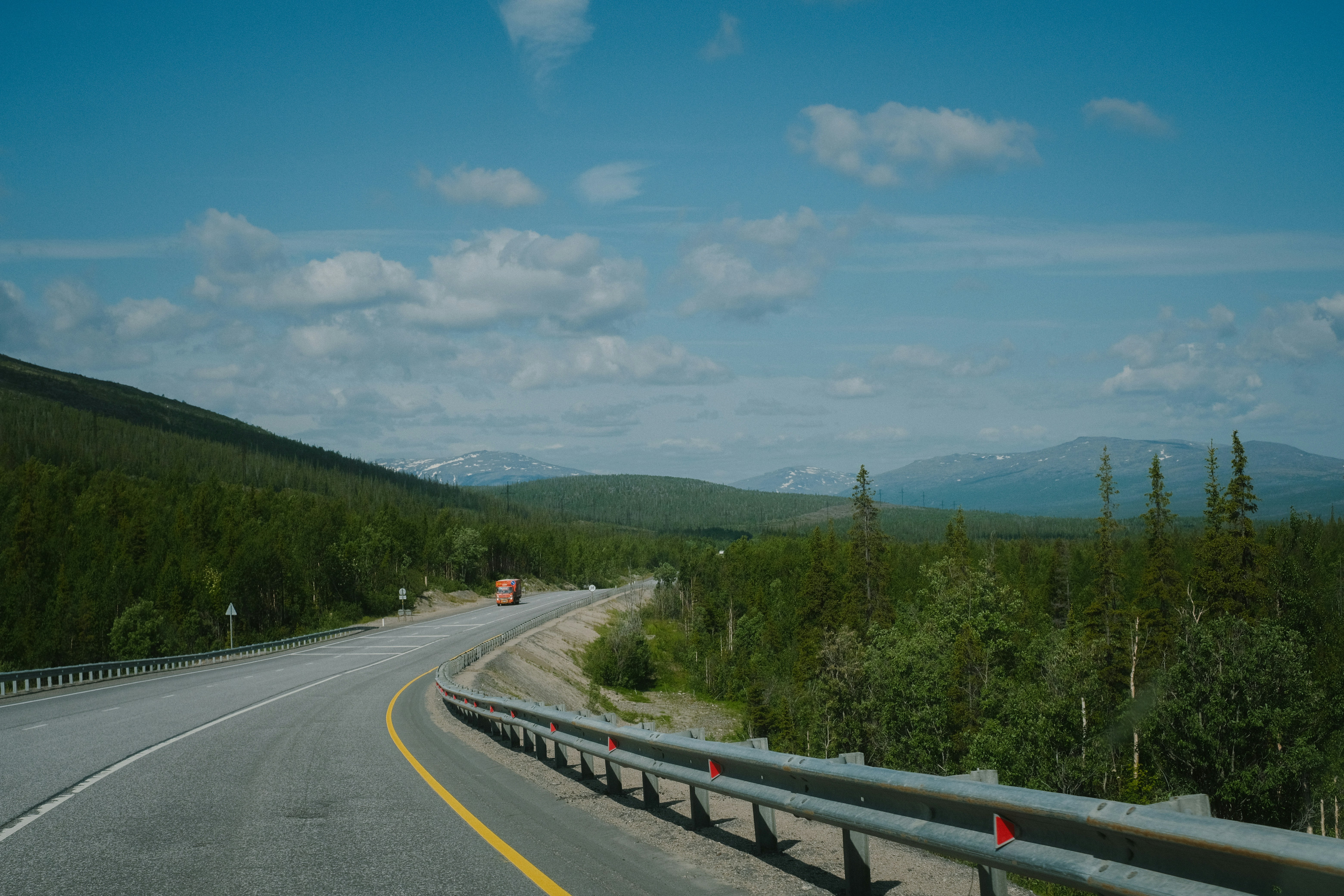 Winding Journey Through Verdant Wilderness